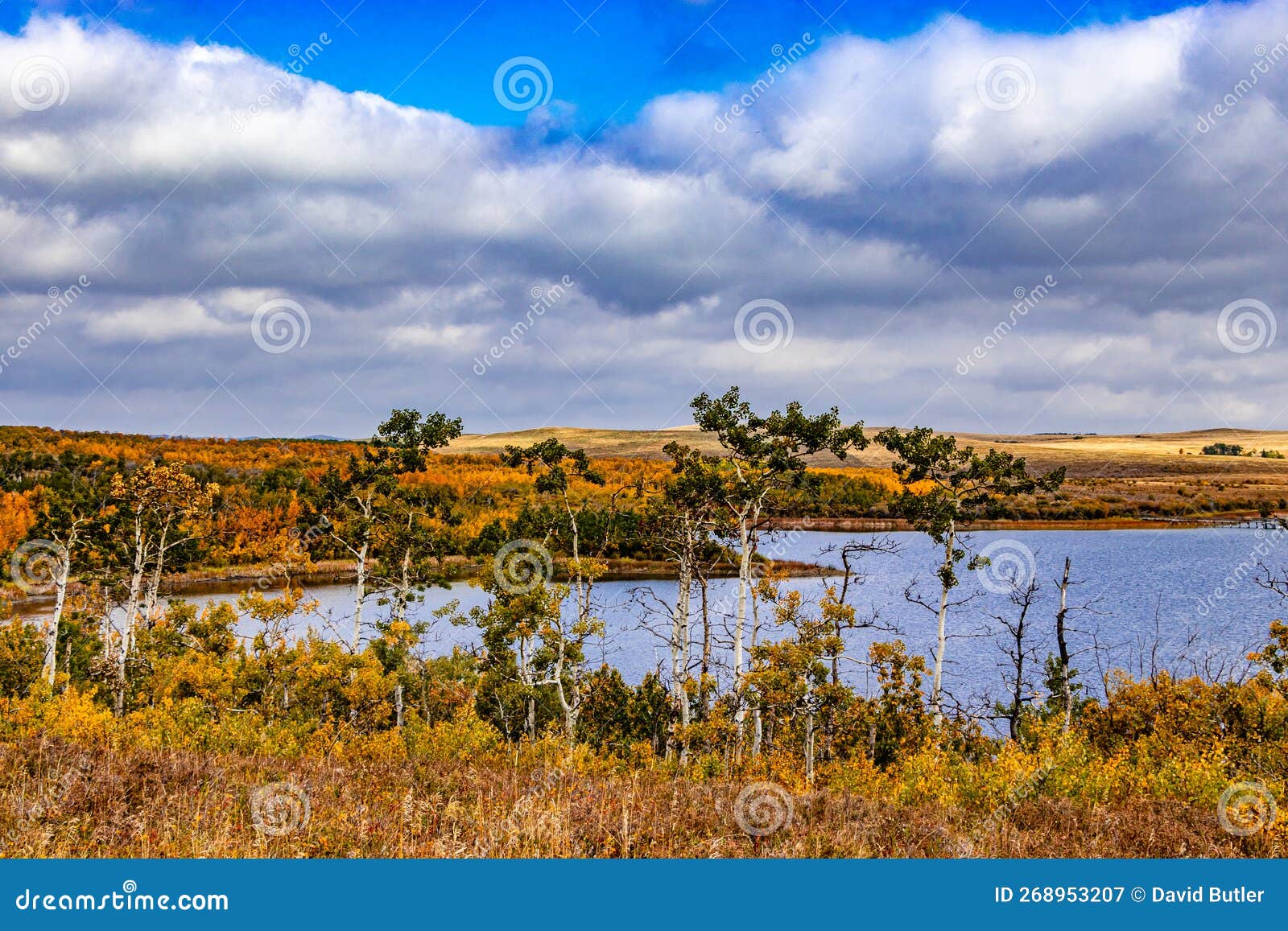 Police Outpost Provincial Park in Alberta, Canada Stock Image - Image ...