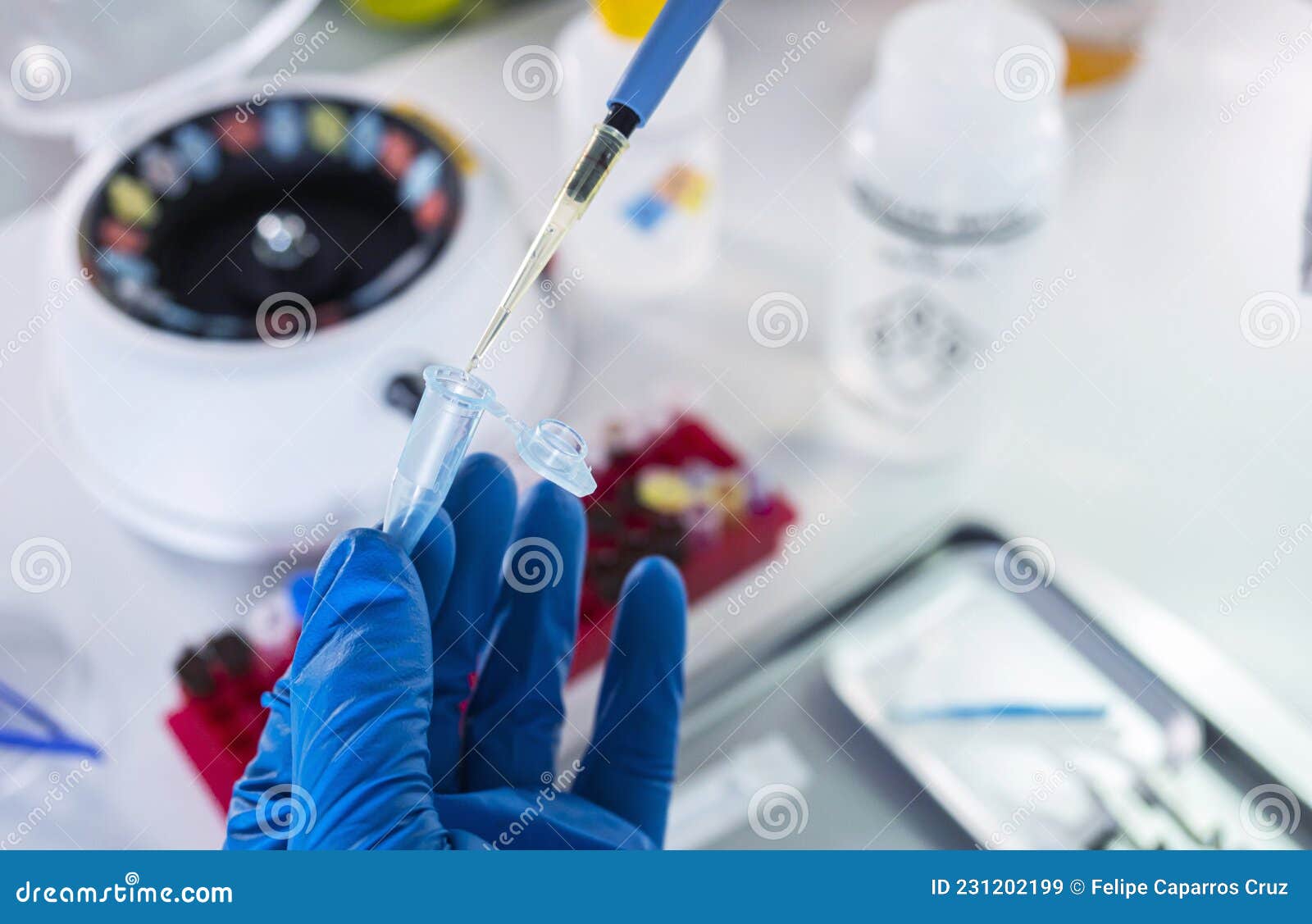 Police Scientist Prepares Vial for Crime Lab Analysis Stock Image ...