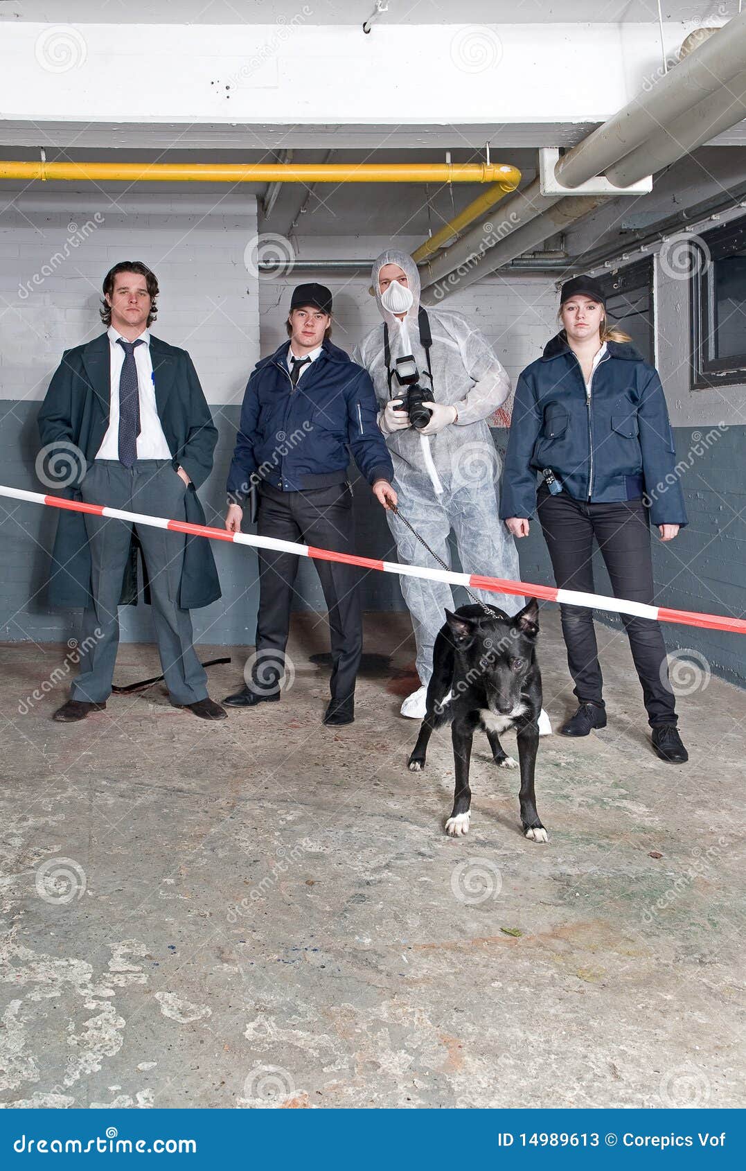 Police team stock image. Image of department, criminal - 14989613