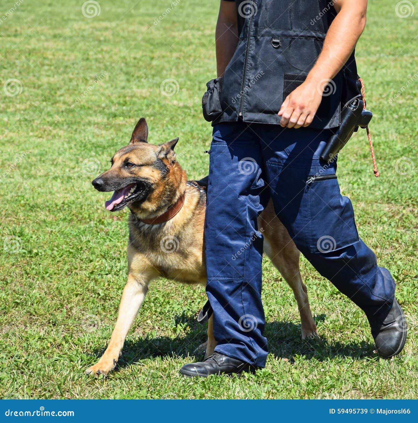 Policeman with his dog stock image. Image of blue, accident - 59495739