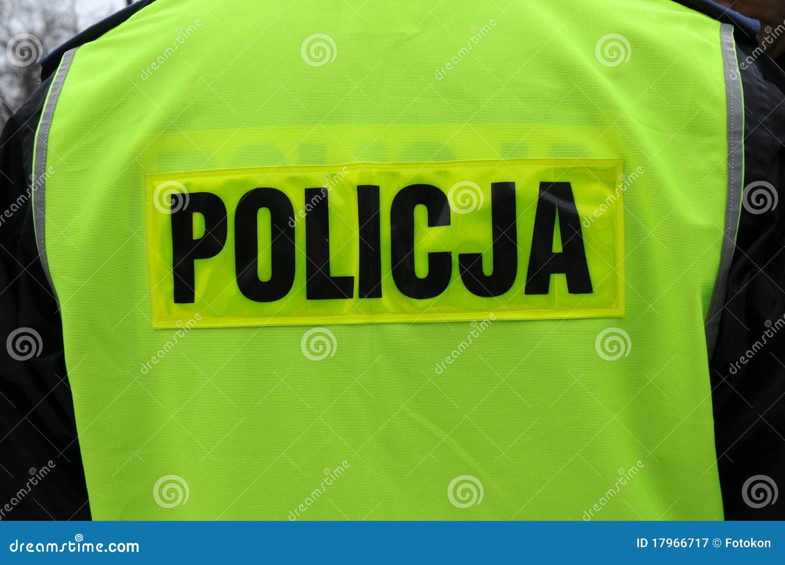 Policeman in Poland stock image. Image of police, uniform - 17966717