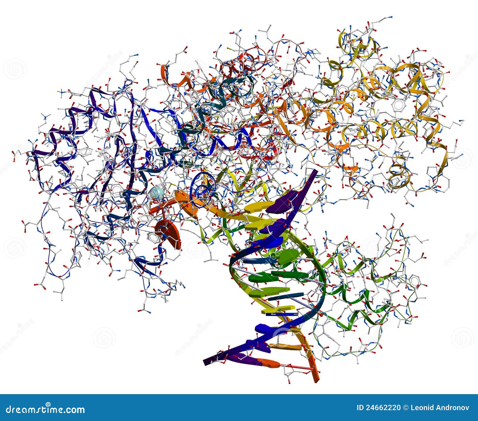 Polimerasi di DNA I illustrazione di stock. Illustrazione di carbonio ...