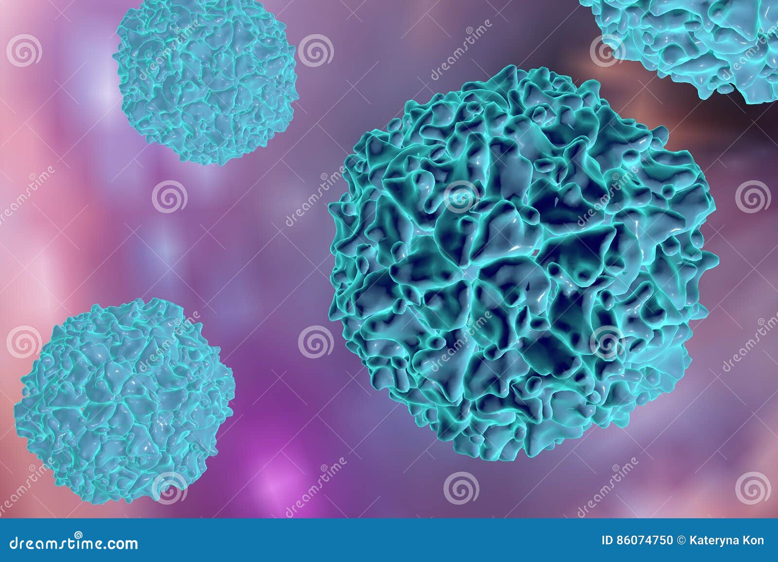 Poliovirus, A Virus Transmitted By Drinking Water And Causing Polio ...