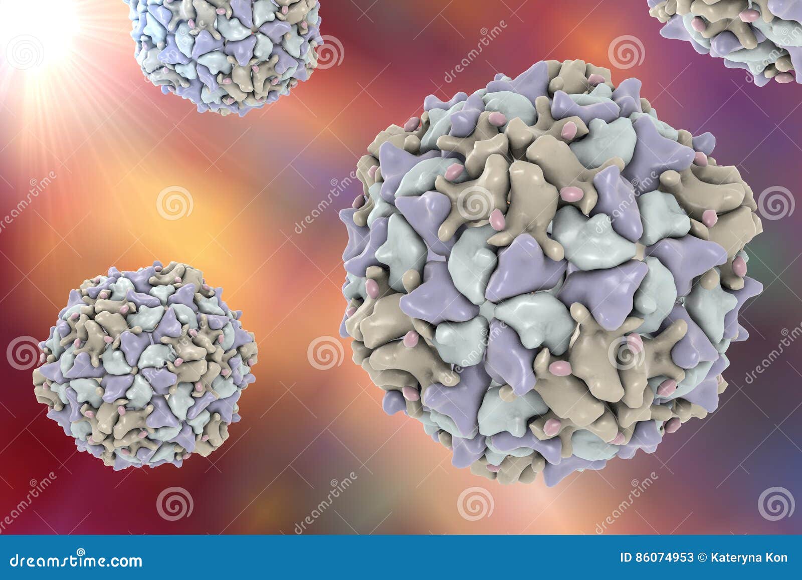 Poliovirus, A Virus Transmitted By Drinking Water And Causing Polio ...