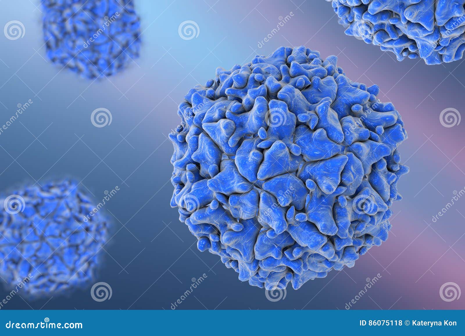 Poliovirus, A Virus Transmitted By Drinking Water And Causing Polio ...