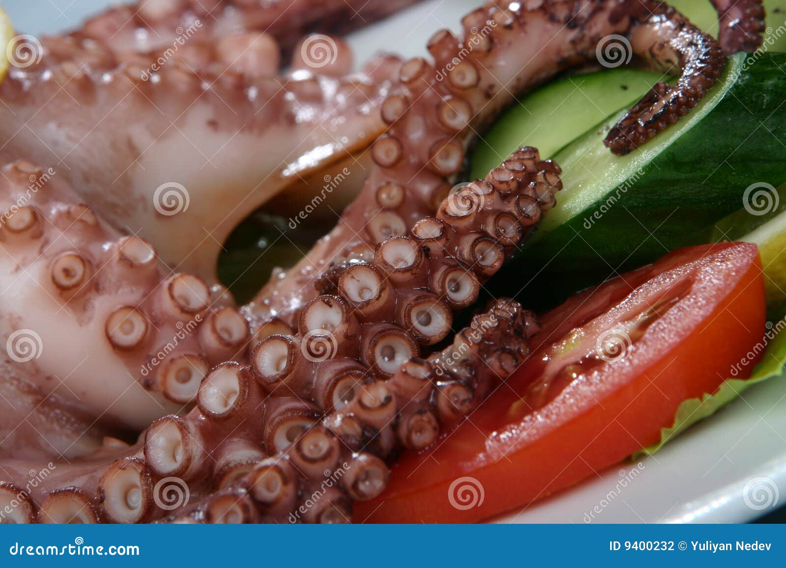 Polipo fotografia stock. Immagine di greco, isole, affettato - 9400232