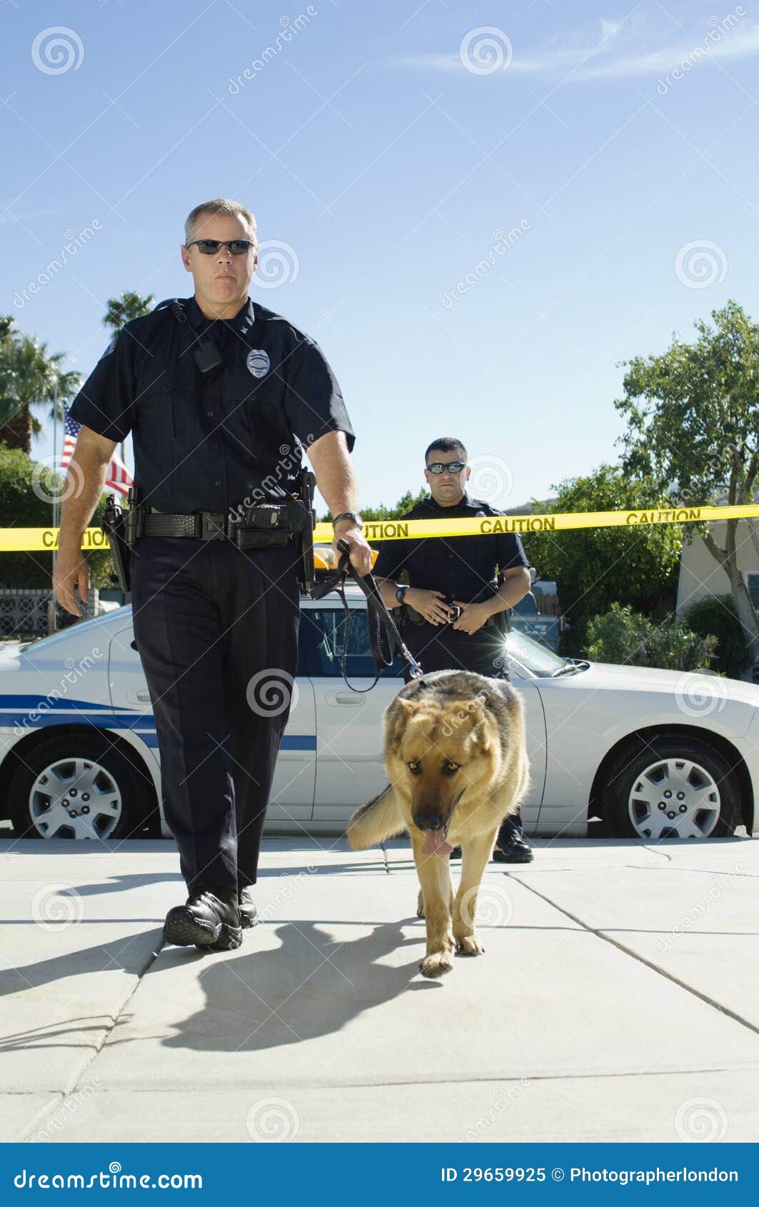 Polis with Dog fotografering för bildbyråer. Bild av full - 29659925