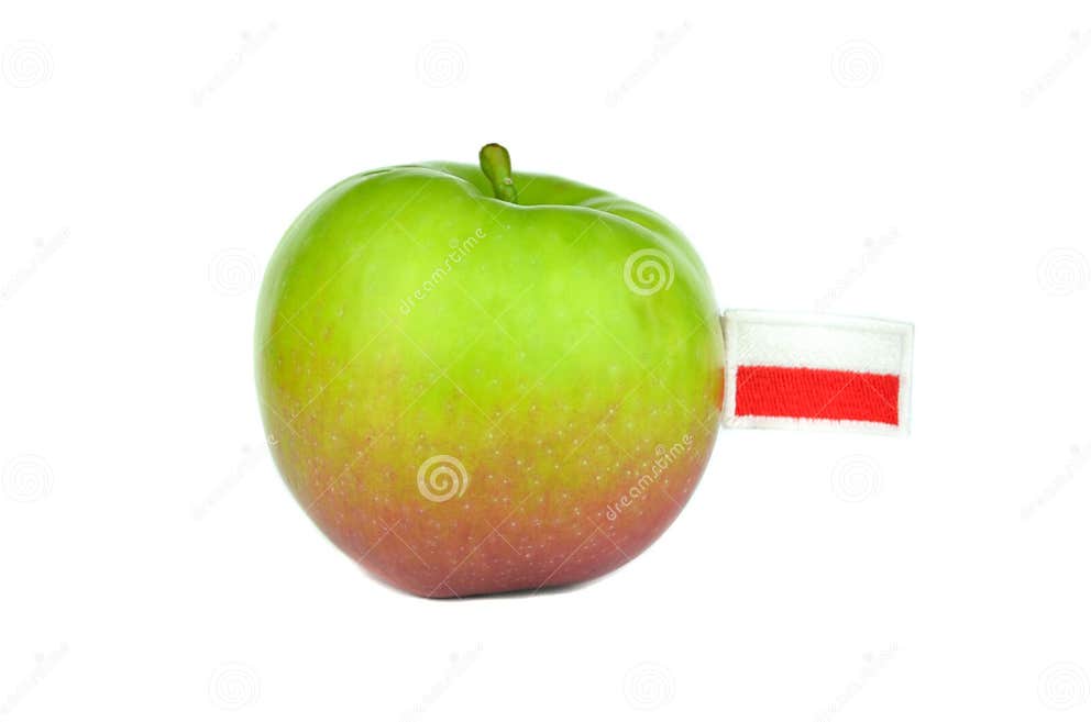 Polish apple stock photo. Image of food, apples, healthy - 43248636