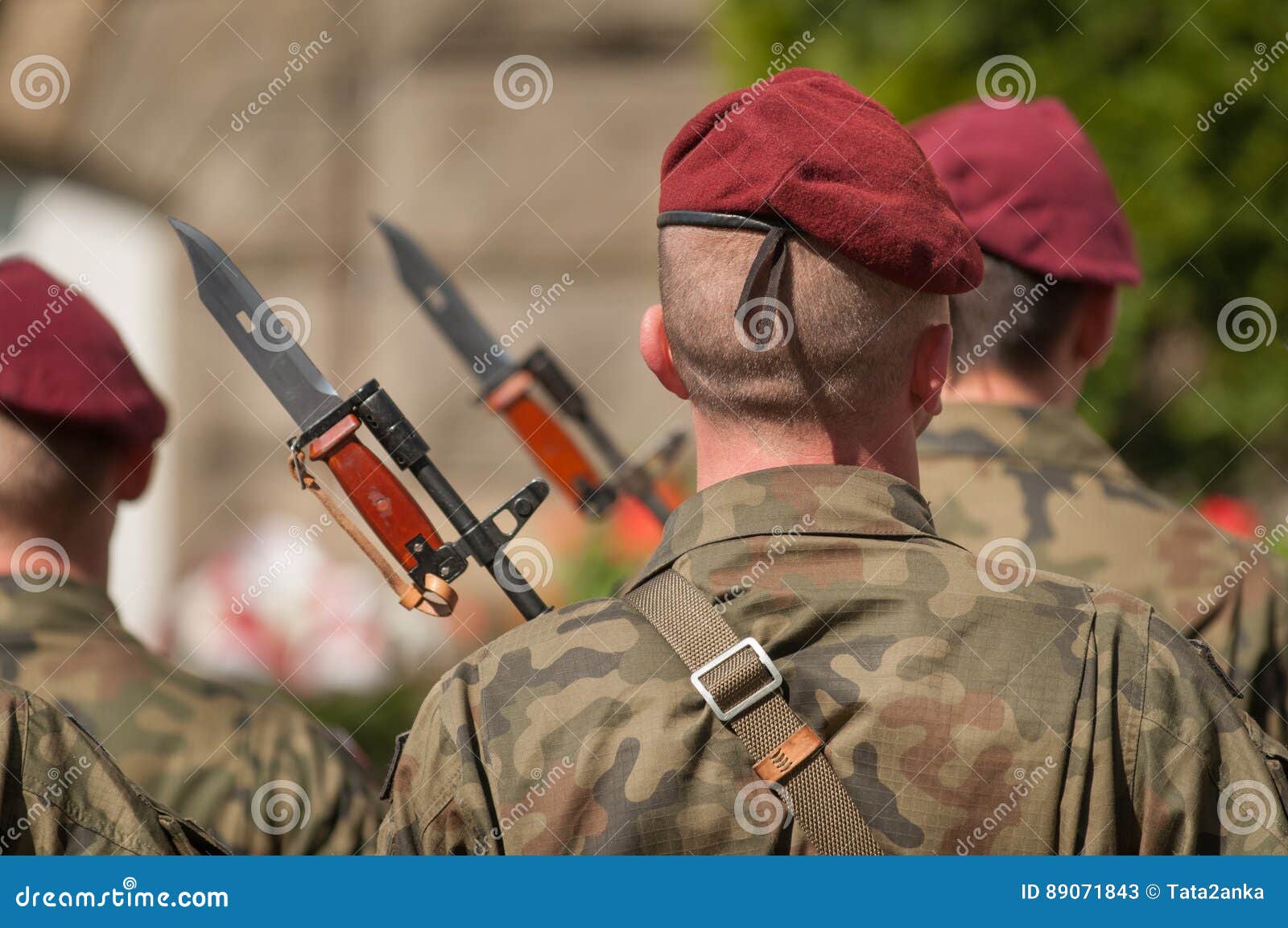 Polish Army during Parade in Bielsko-Biala, Poland Editorial Stock ...