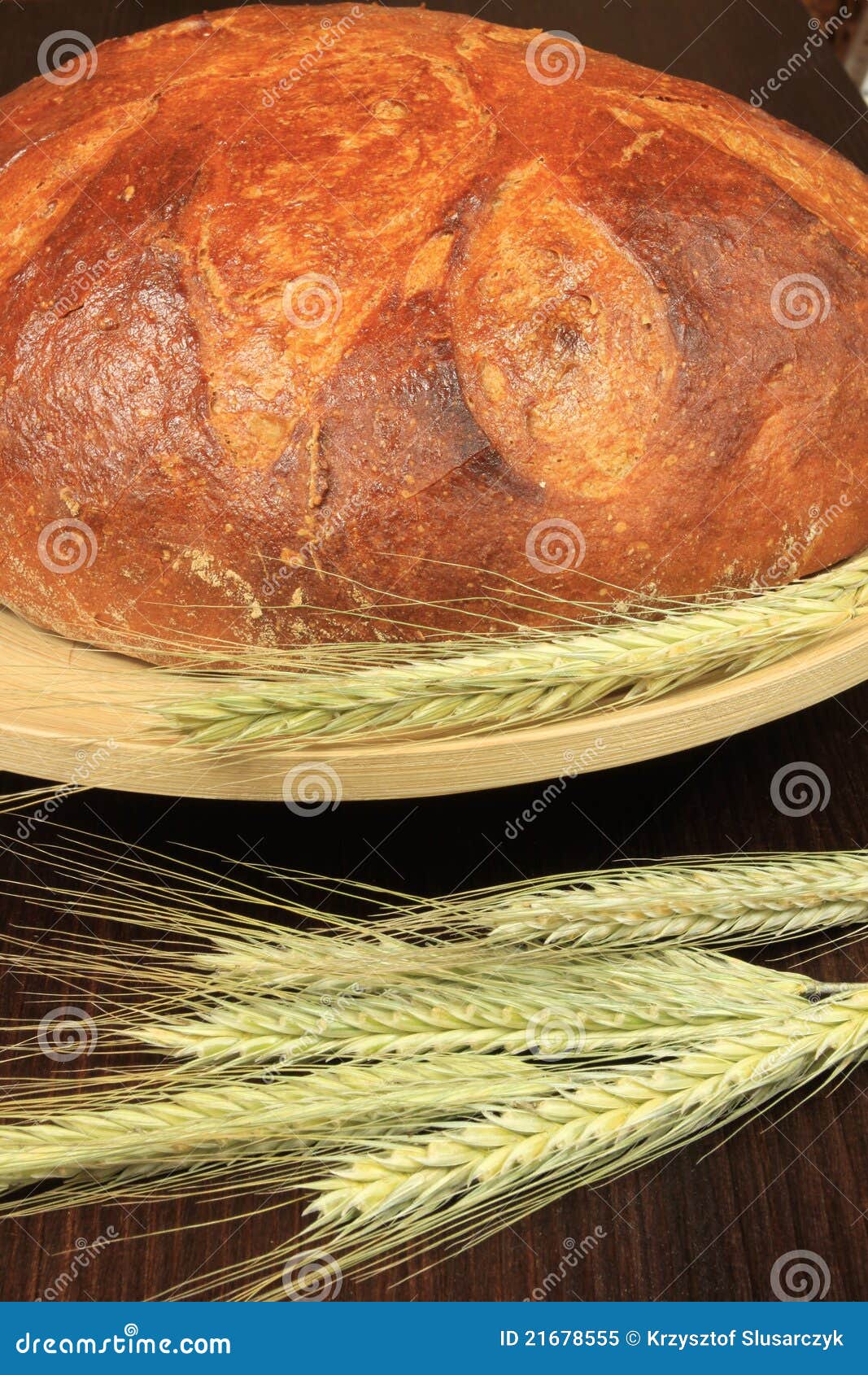 Polish bread stock image. Image of baked, bakery, typical - 21678555
