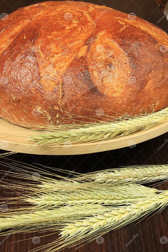 Polish bread stock image. Image of baked, bakery, typical - 21678555