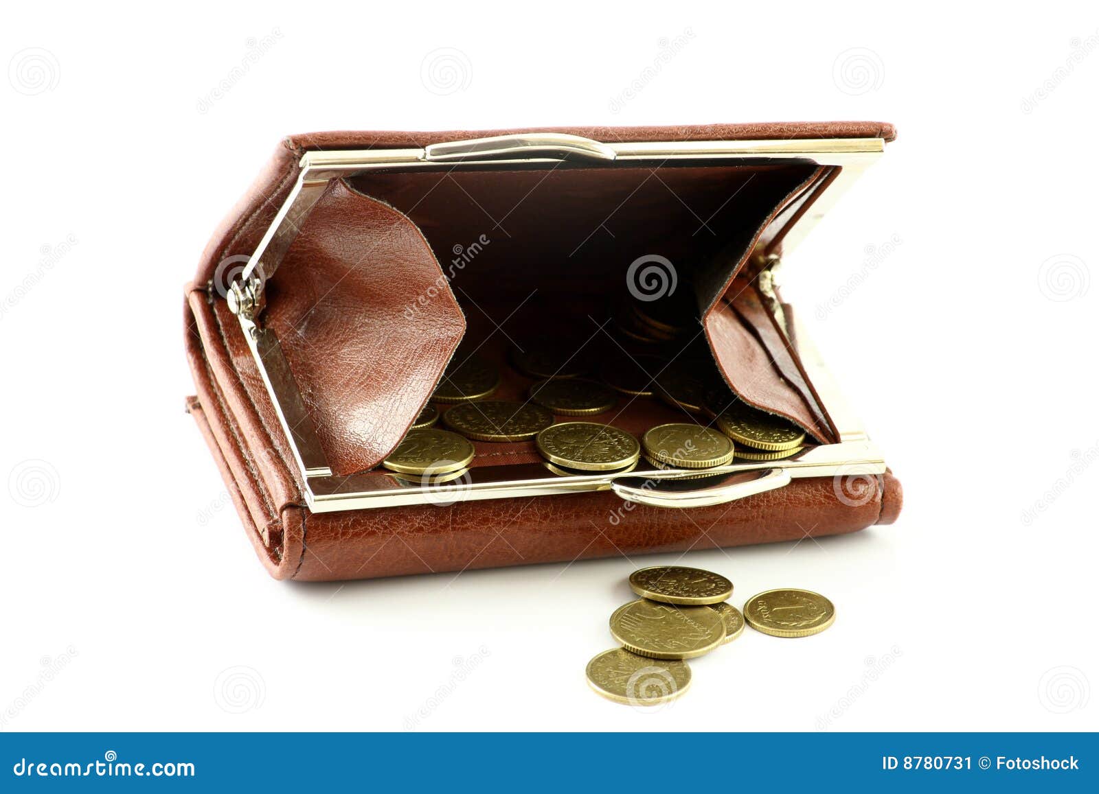 Polish coins in wallet stock image. Image of metal, payment - 8780731