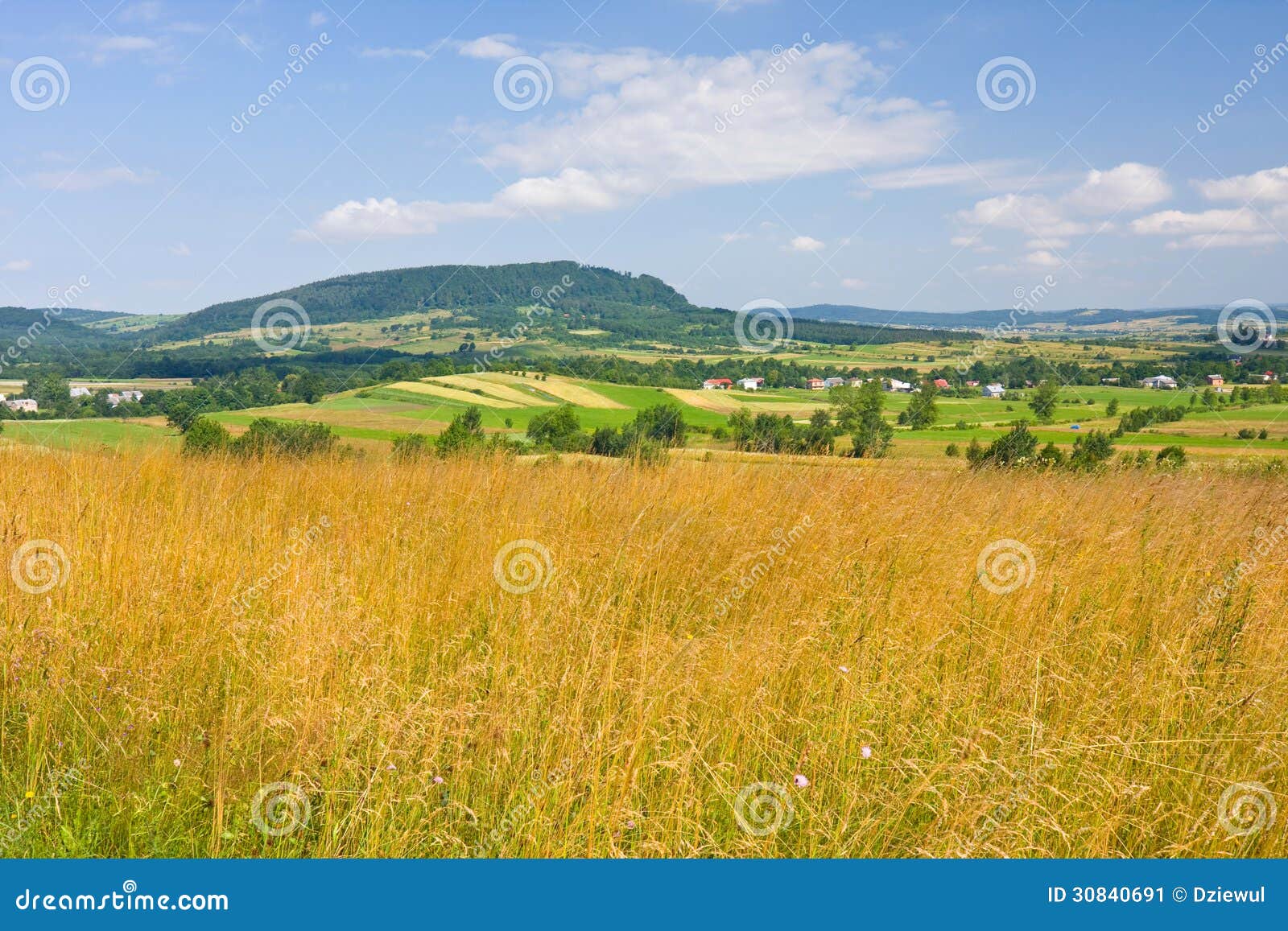 Polish Countryside Landscape Stock Image - Image of country, europe ...