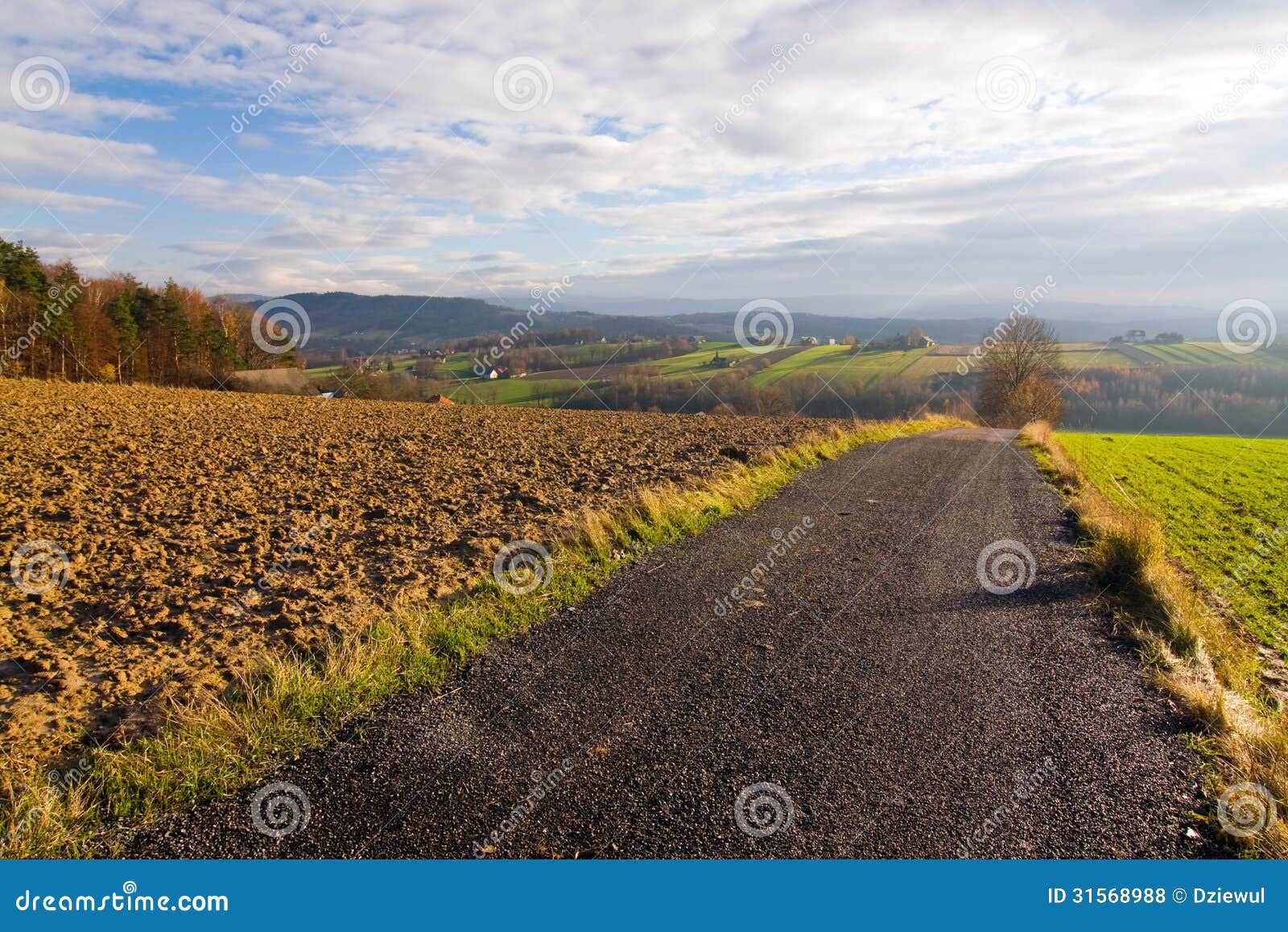Polish Countryside Landscape Stock Photo - Image of grass, forest: 31568988