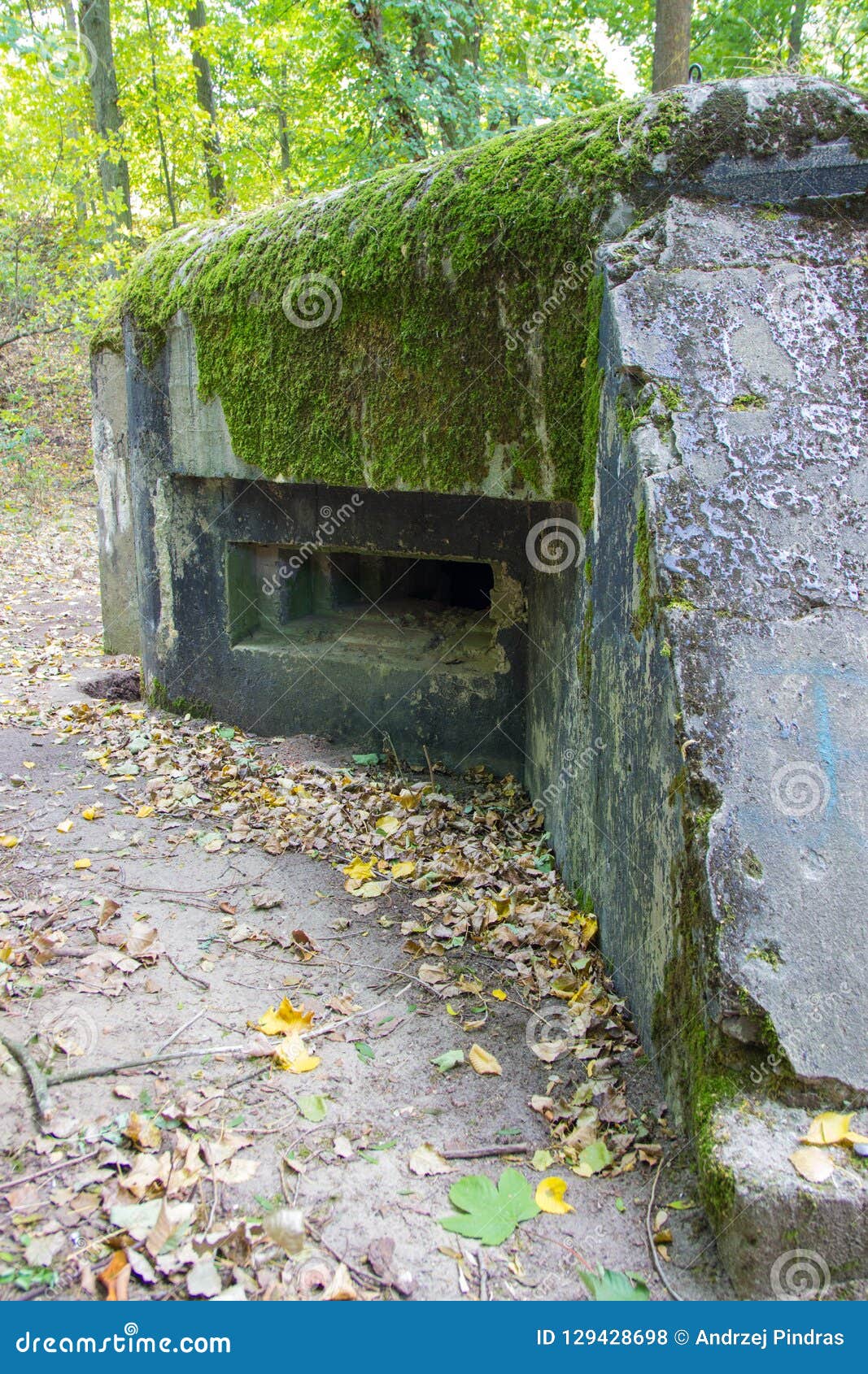 Polish Field Fortifications from the Second World War. Stock Photo ...