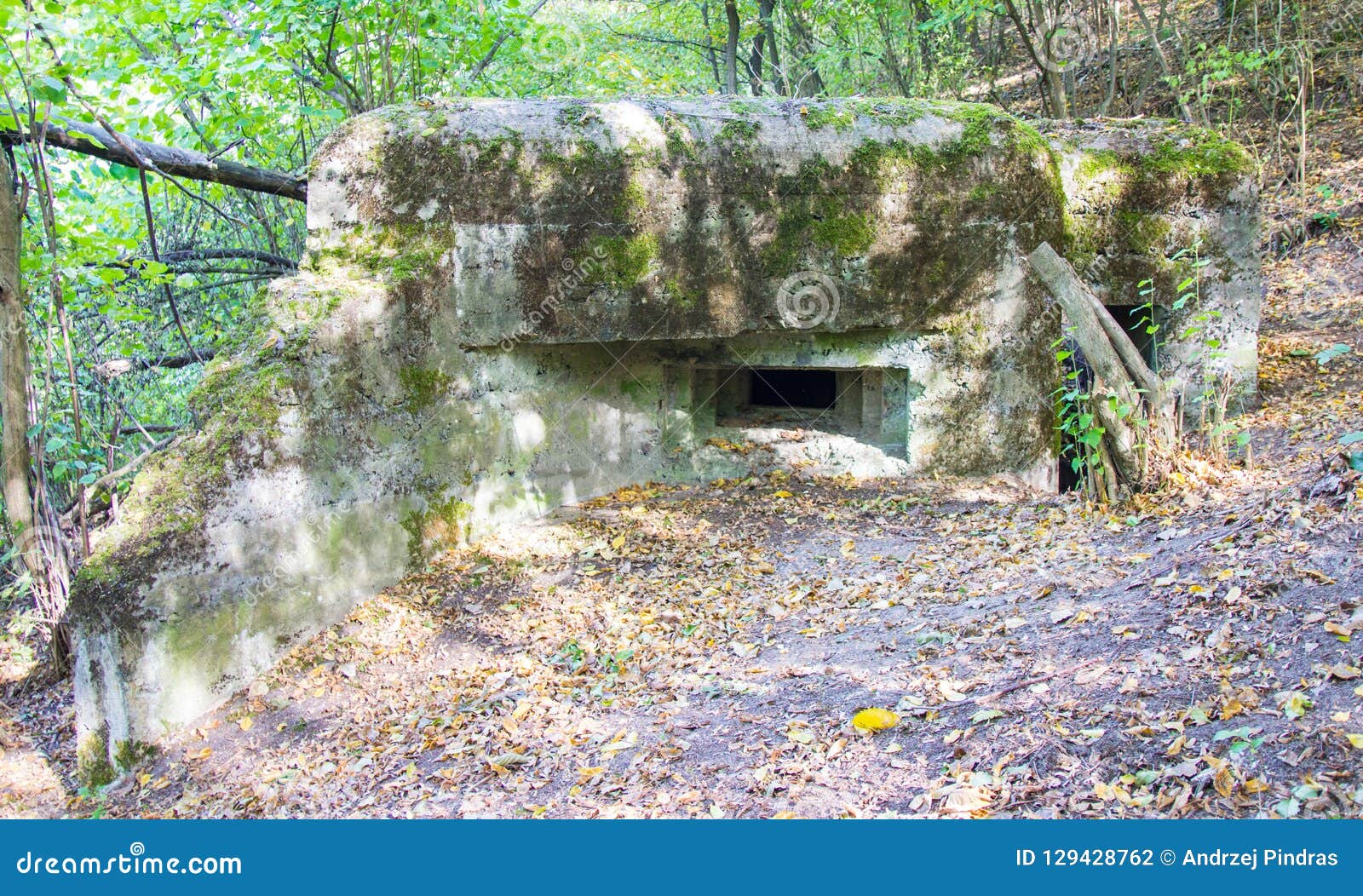 Polish Field Fortifications from the Second World War. Stock Photo ...