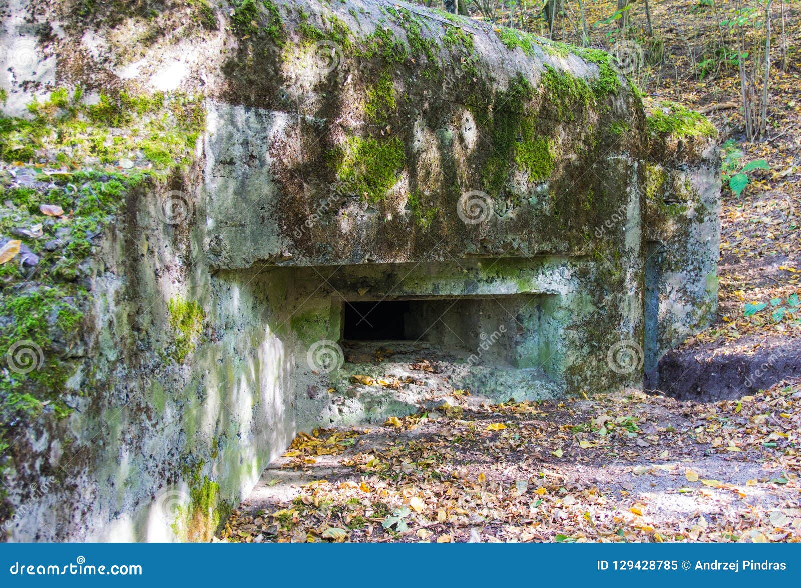 Polish Field Fortifications from the Second World War. Stock Image ...