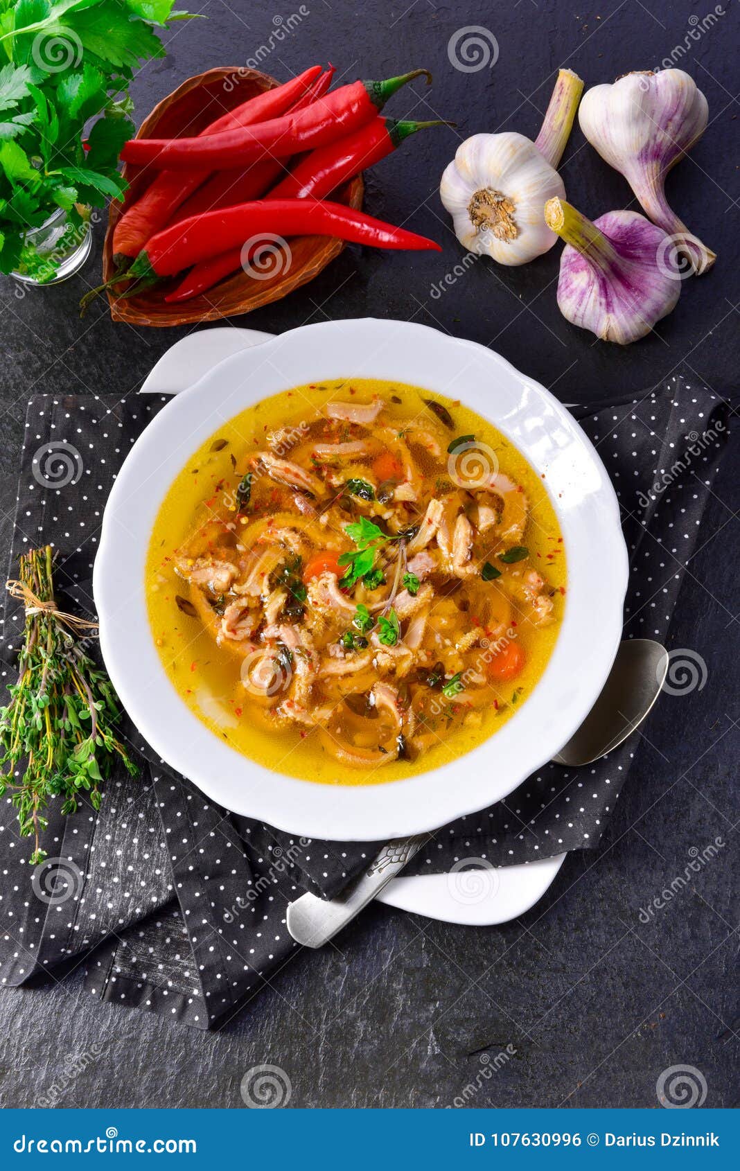 Polish Flaczki stock photo. Image of food, dish, offal - 107630996