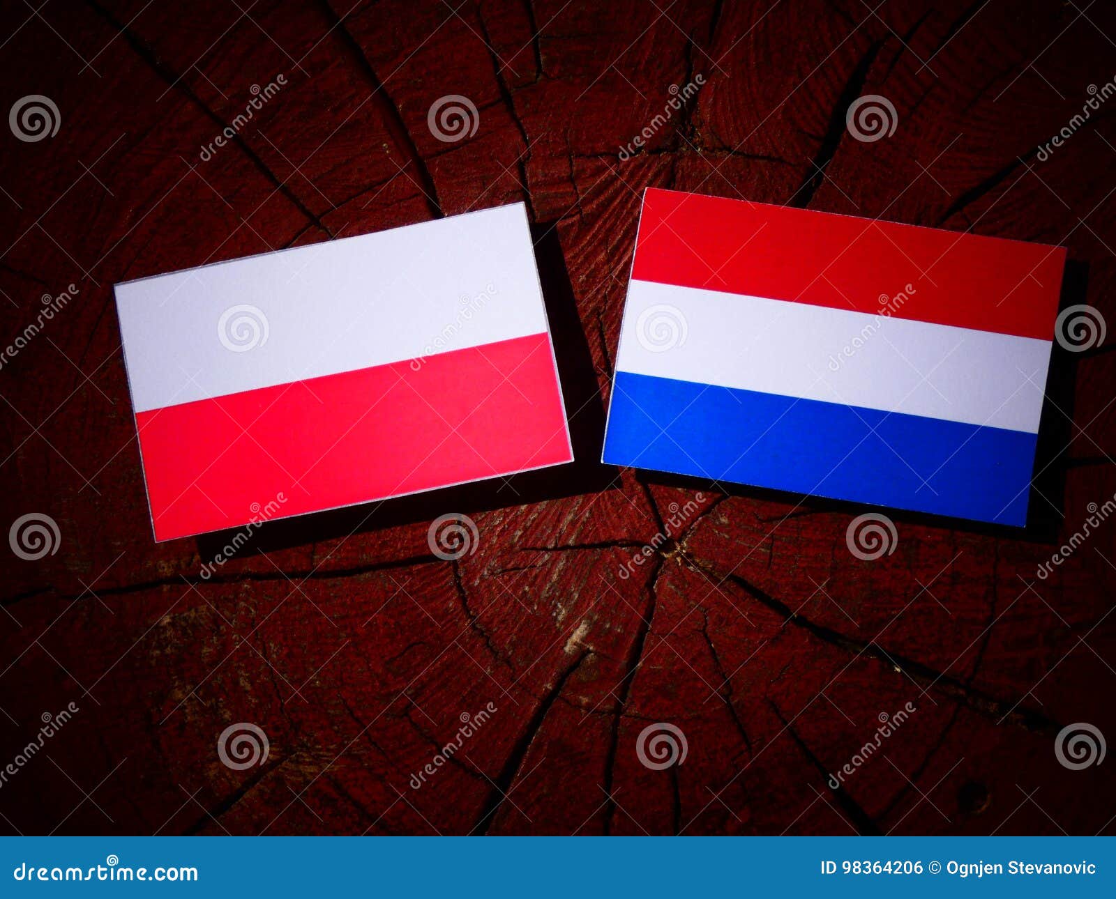 Polish Flag with Dutch Flag on a Tree Stump Isolated Stock Photo ...