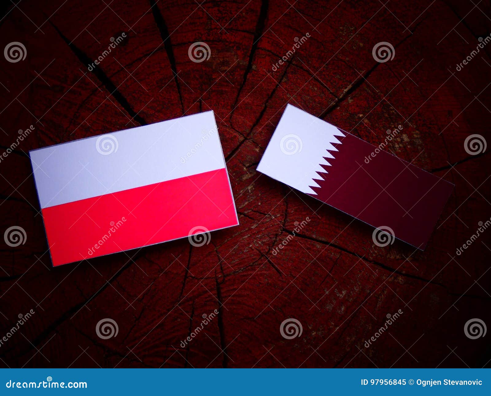 Polish Flag with Qatari Flag on a Tree Stump Isolated Stock Image ...