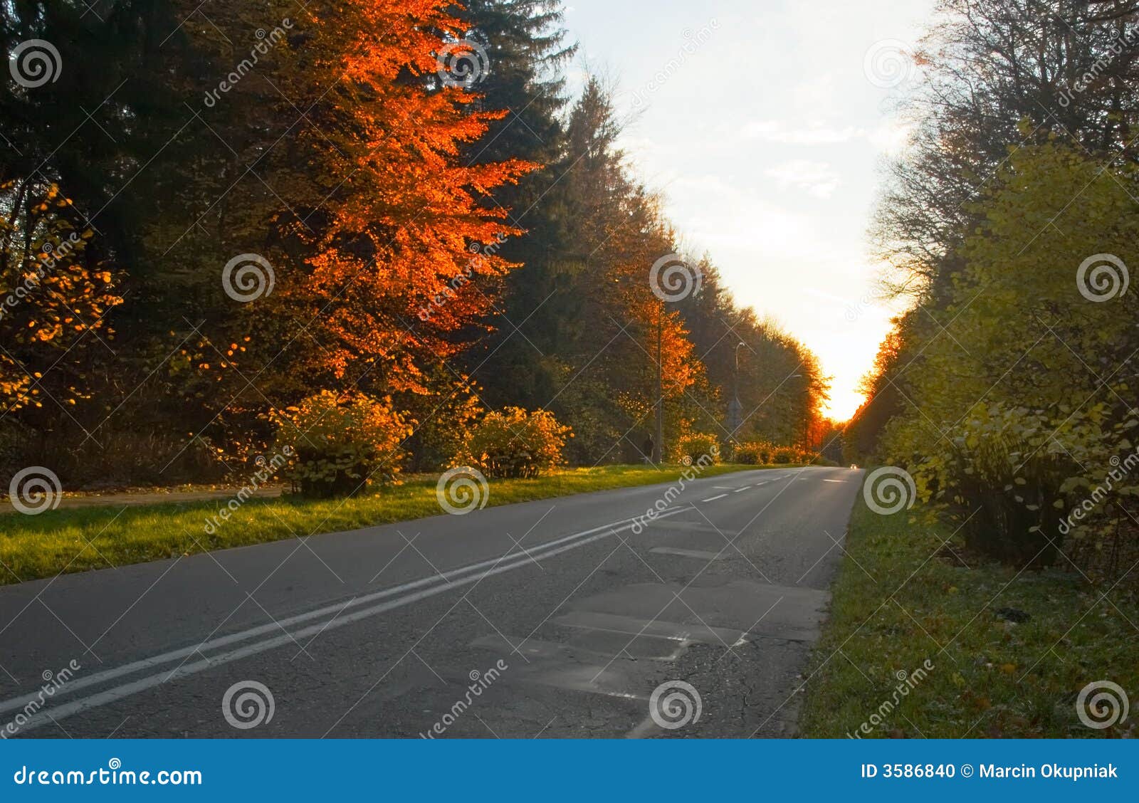 Polish golden autumn stock photo. Image of yellow, green - 3586840