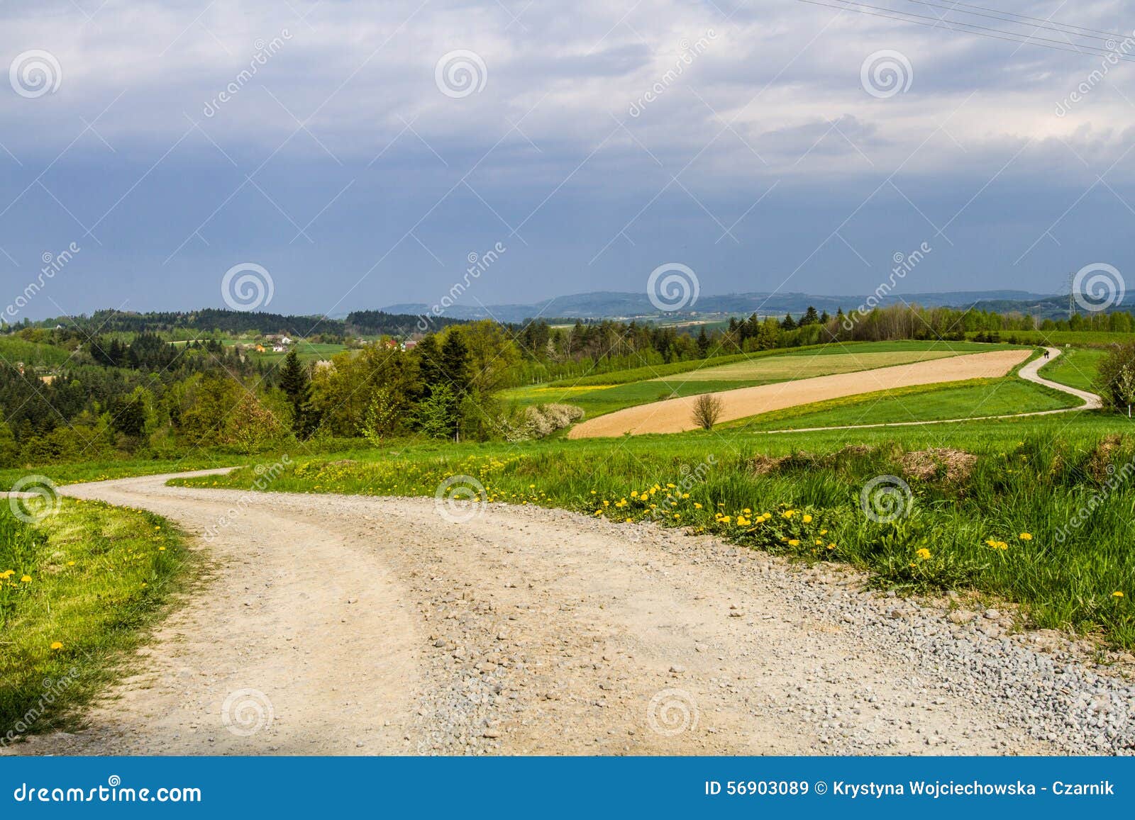 Polish landscape stock image. Image of field, grassland - 56903089