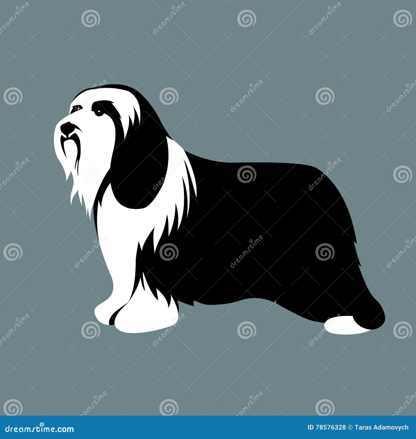 Polish Low Land Sheepdog Vector Stock Vector - Illustration of profile ...