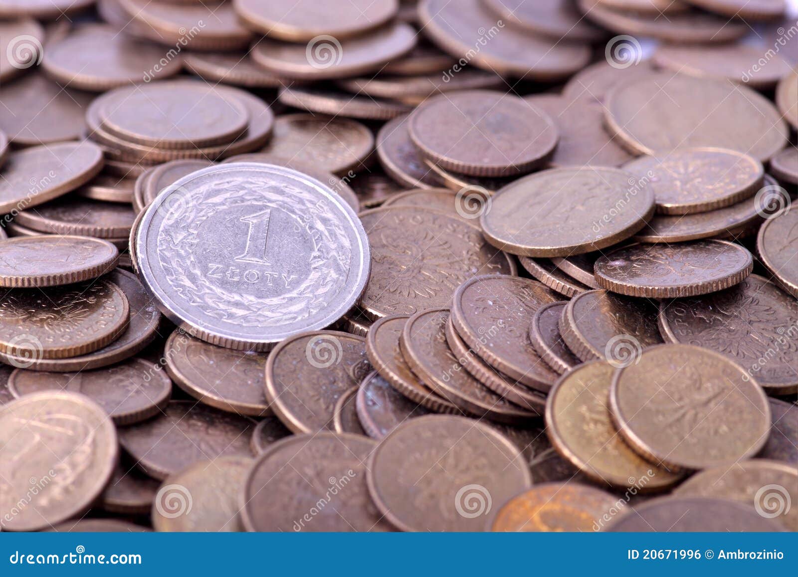 Polish money - PLN stock photo. Image of banknotes, zloty - 20671996