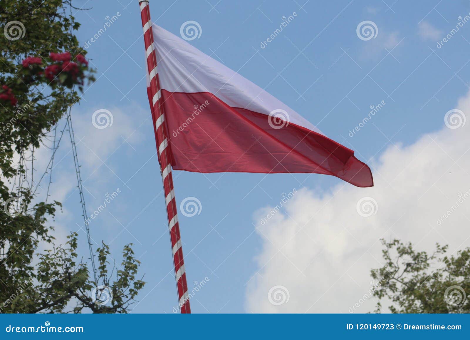 Polish national flag stock image. Image of national - 120149723