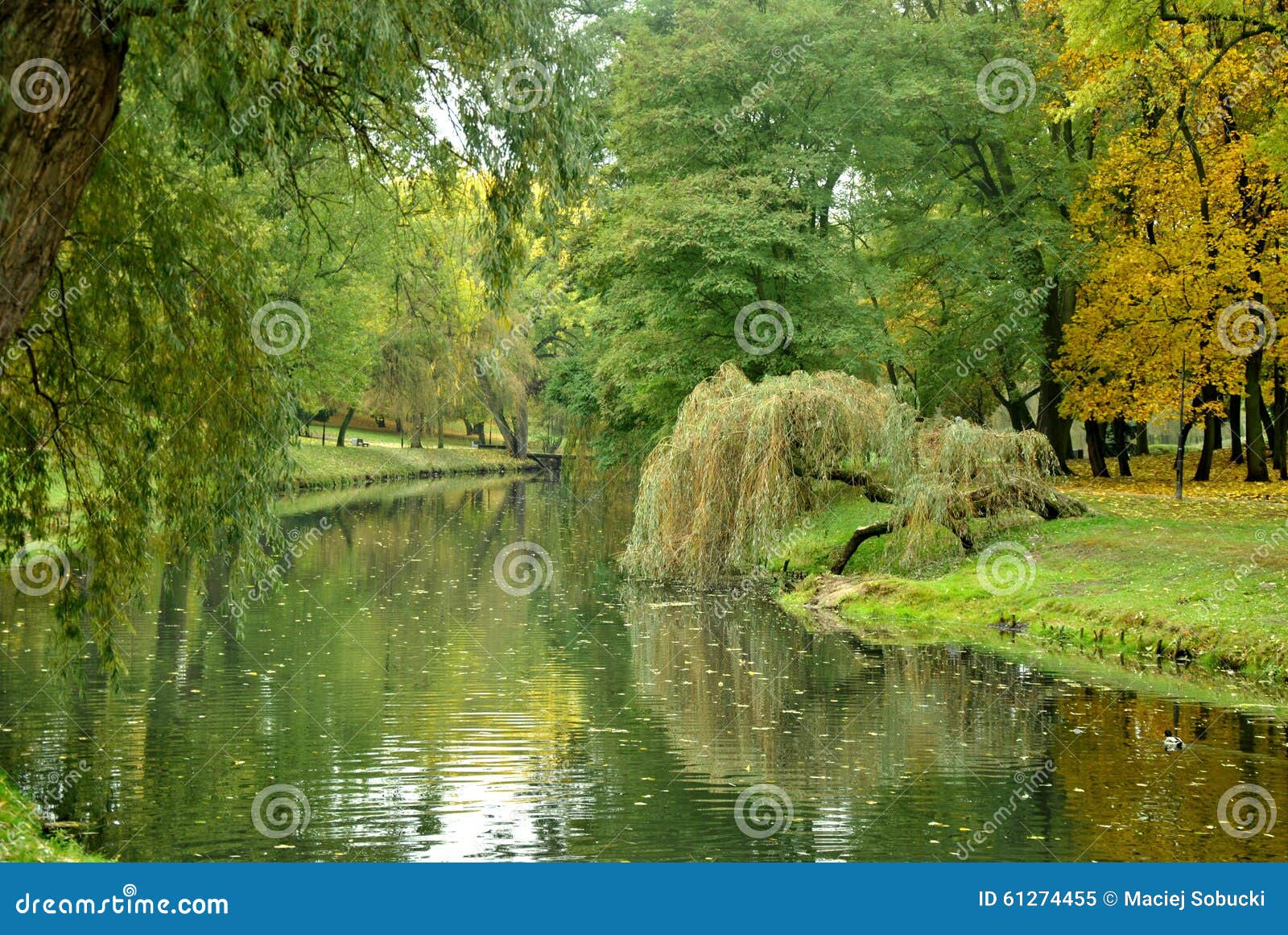 Polish Park stock image. Image of autumn, bridge, colorful - 61274455
