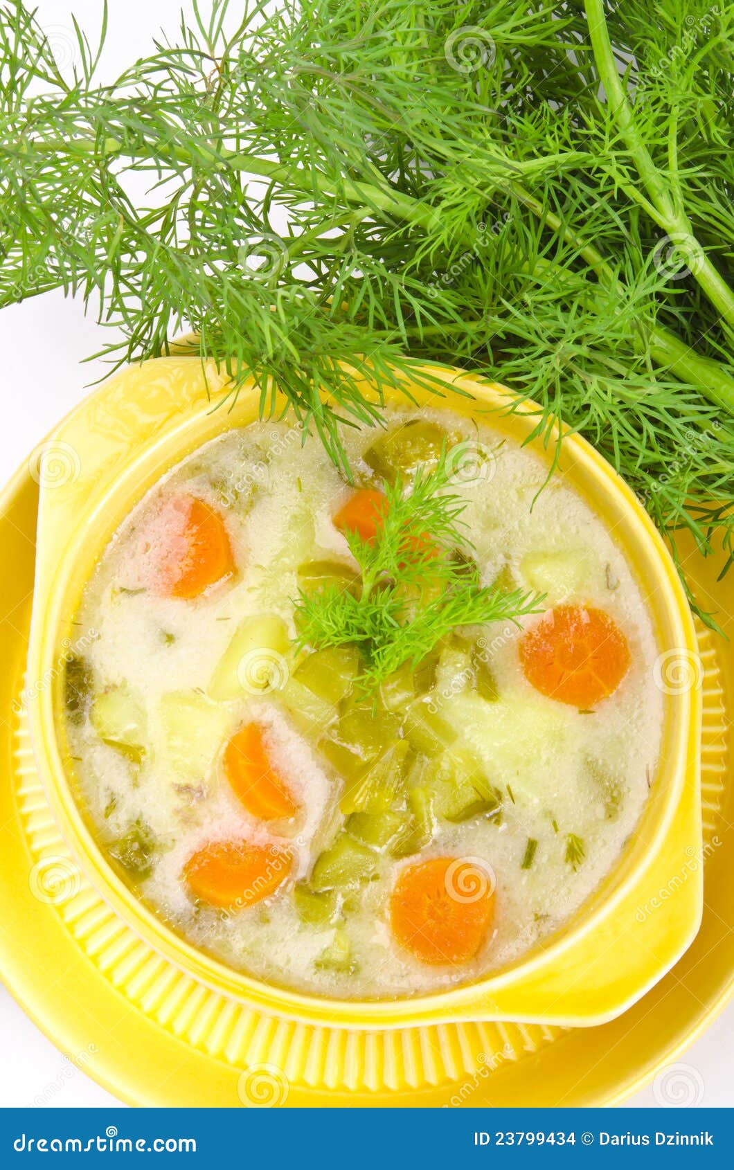Polish Pickled Cucumbers Soup Stock Photo - Image of meal, leaf: 23799434