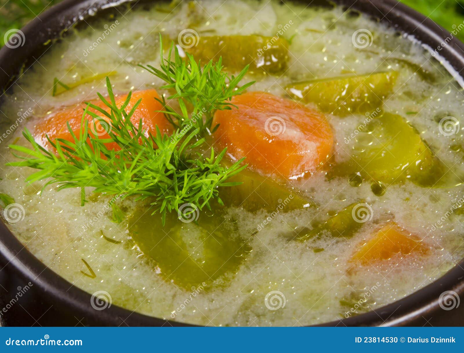 Polish Pickled Cucumbers Soup Stock Photo - Image of gherkin ...