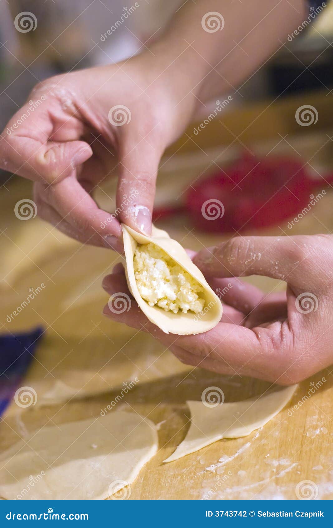 Polish pierogi making stock photo. Image of craft, kitchen - 3743742