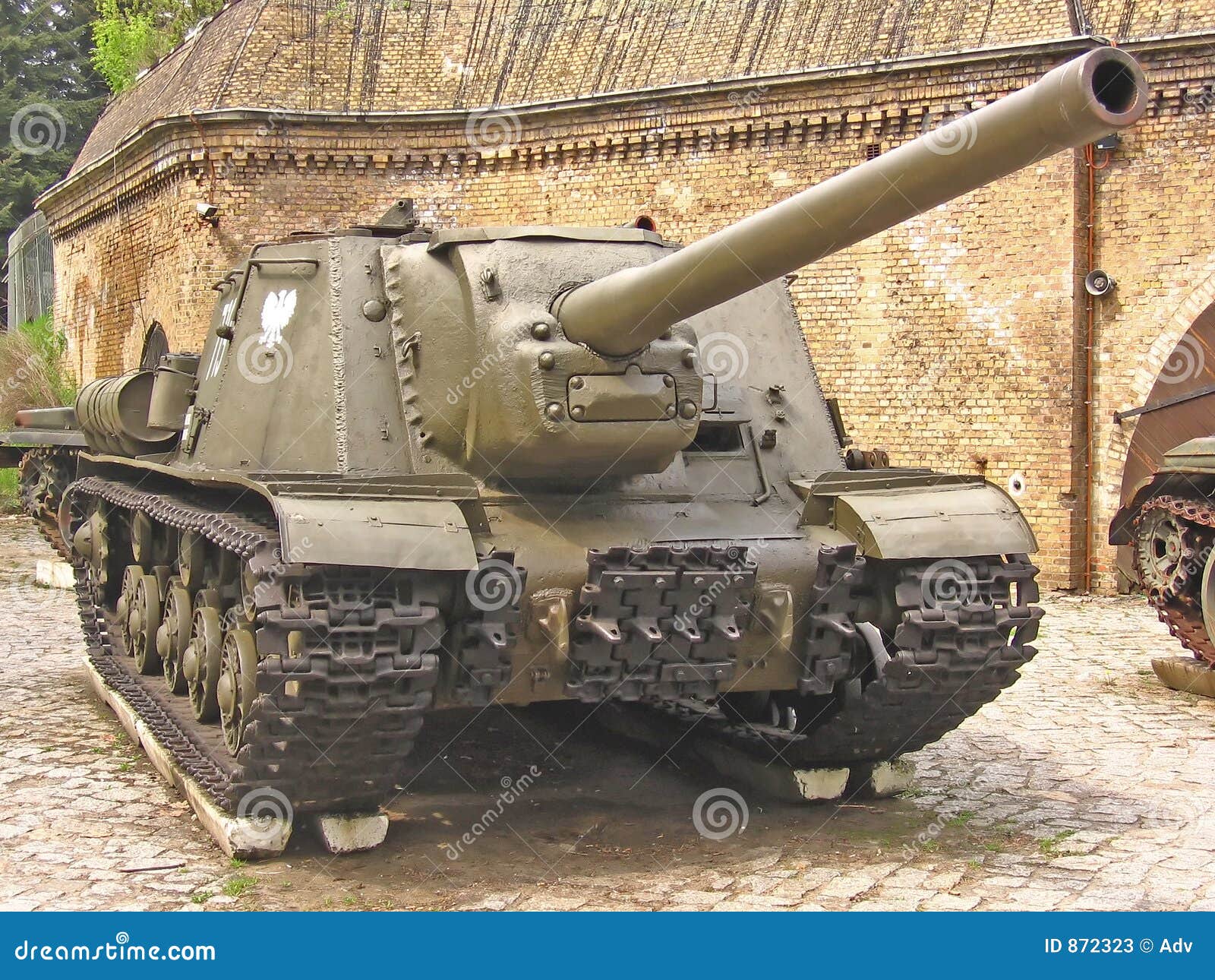 Polish Tank Picture. Image: 872323