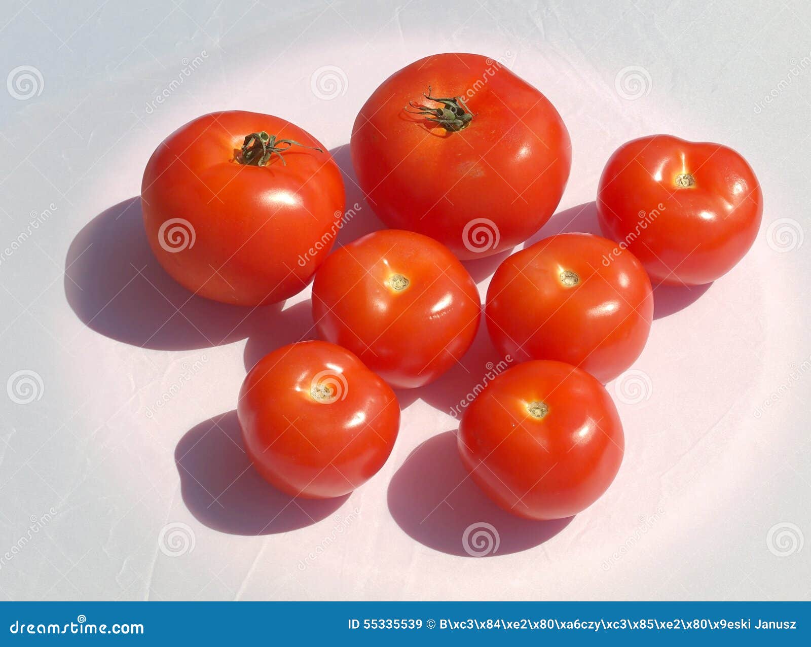 Polish tomatoes. stock image. Image of healthy, europe - 55335539
