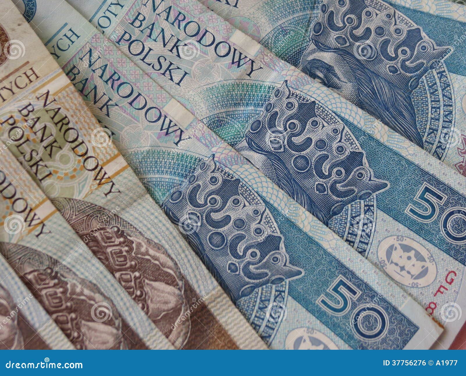 Polish zloty banknotes stock photo. Image of warsaw, money - 37756276