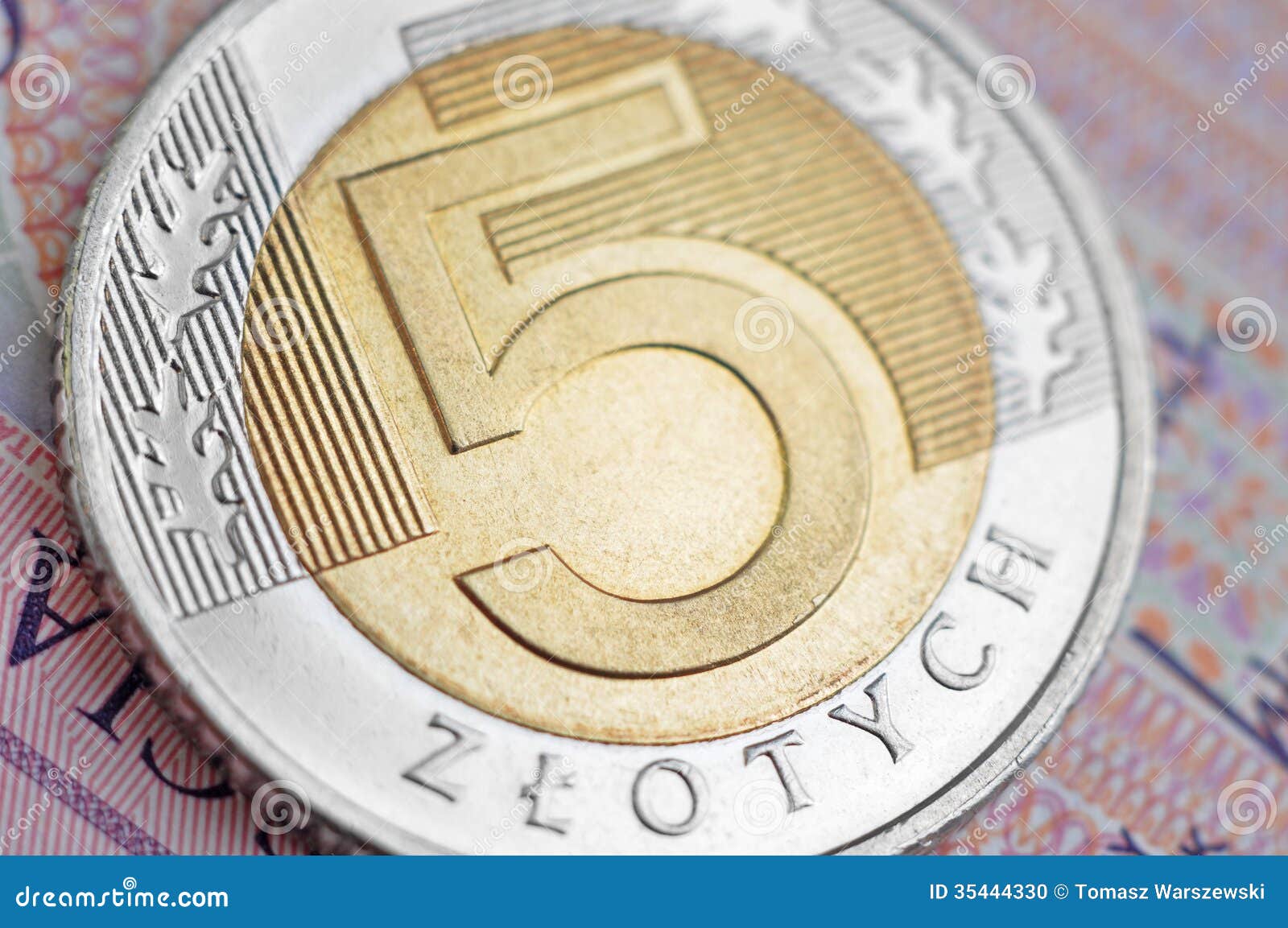 Polish zloty stock photo. Image of money, income, polska - 35444330