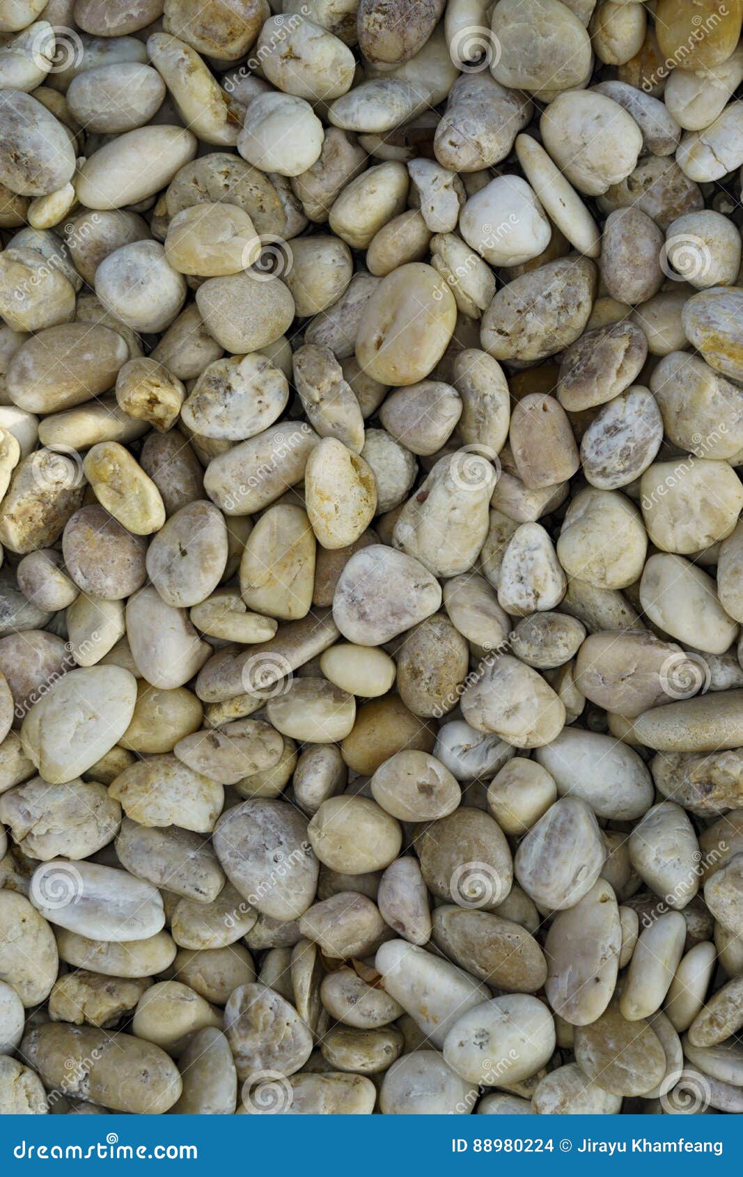 Polished beach rocks stock photo. Image of rocky, smooth - 88980224