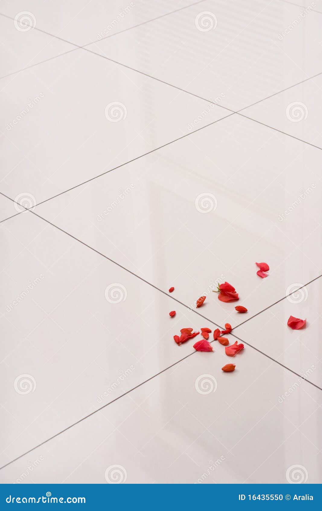 Polished floor gress stock photo. Image of interior, reflection - 16435550