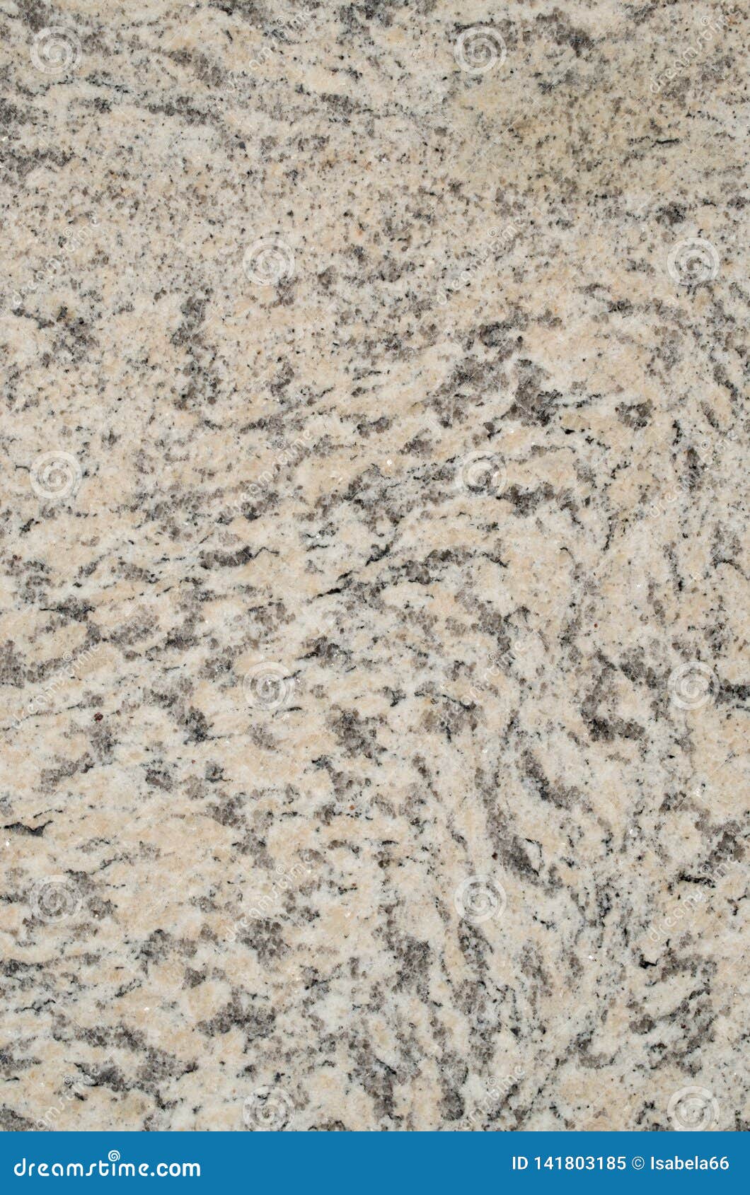 Polished Marble for Cladding Slab Closeup Stock Image - Image of ...