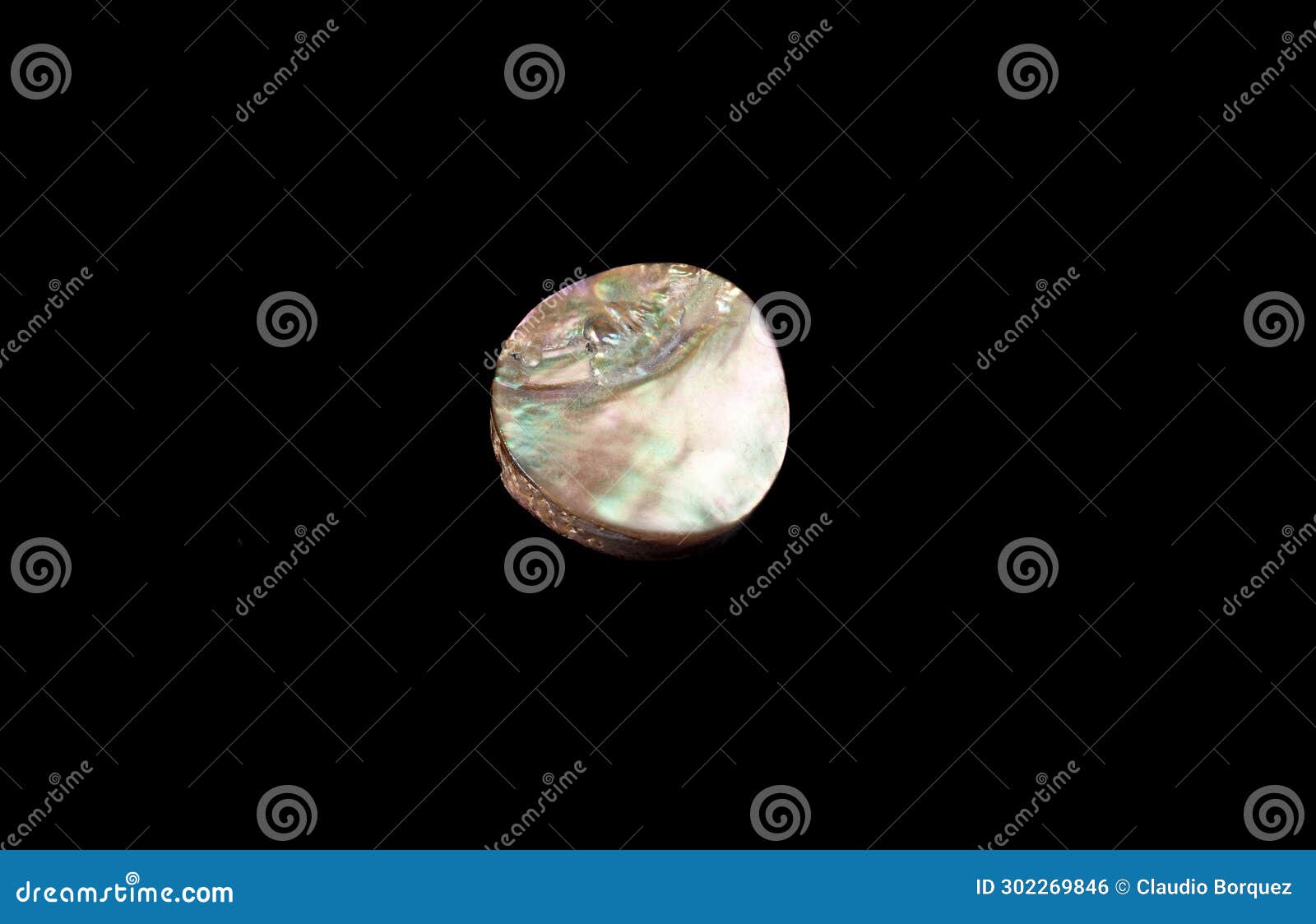 Polished Nacre on Black Background Stock Photo - Image of collection ...