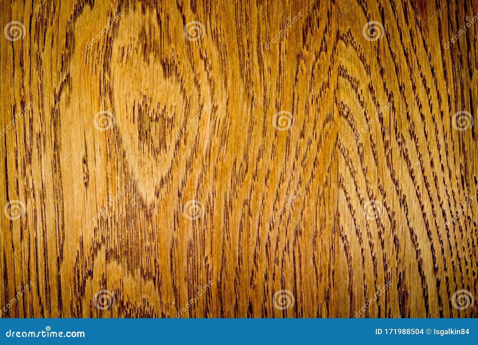 Polished Oak Wood Board. Background Texture Stock Photo - Image of ...