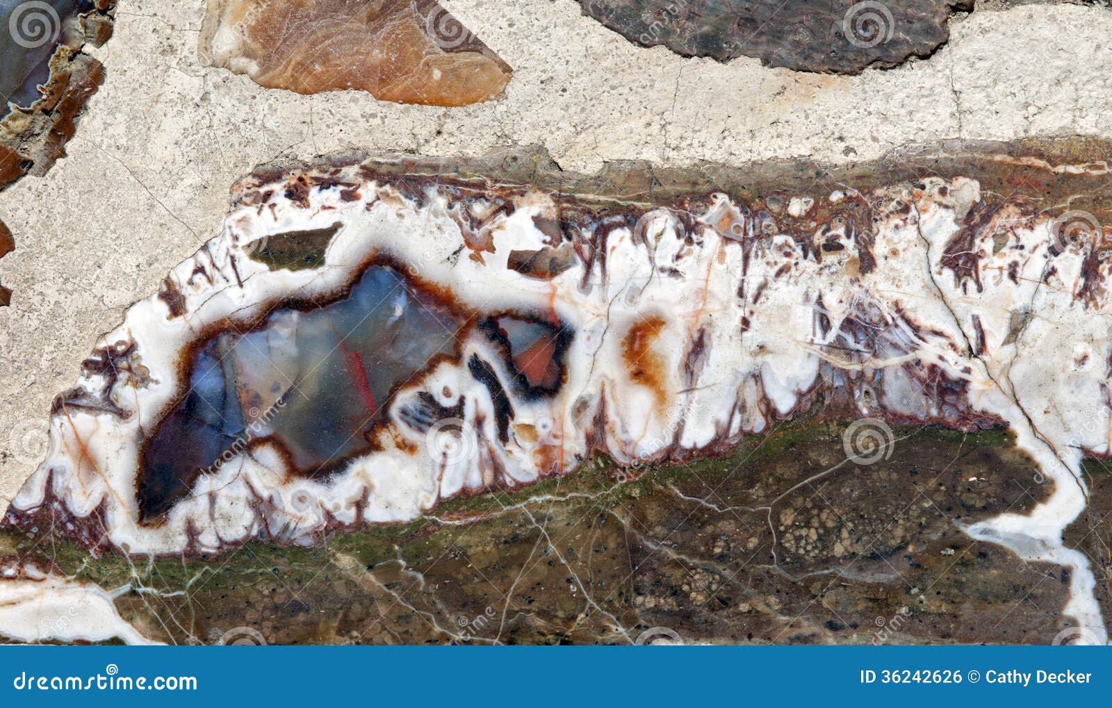 Polished Rock Slice of Jasper & Opal Stock Photo - Image of rocks ...