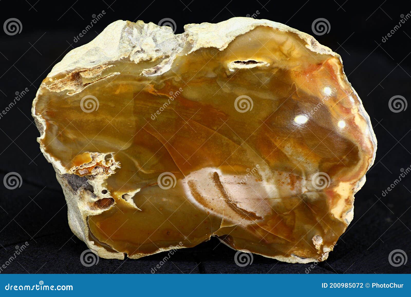 Polished Section of Flint Nodule Stock Photo - Image of natural, white ...