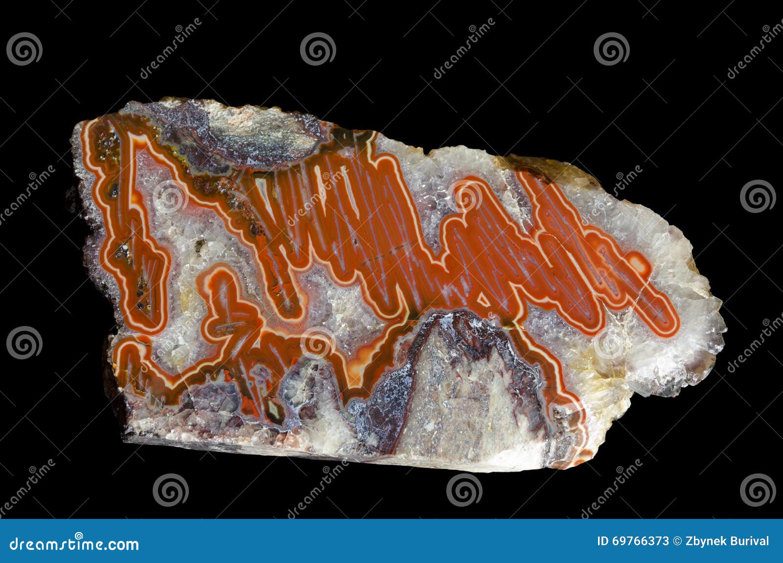 Polished Slab of Striking Red Agate Stock Image - Image of mineral ...
