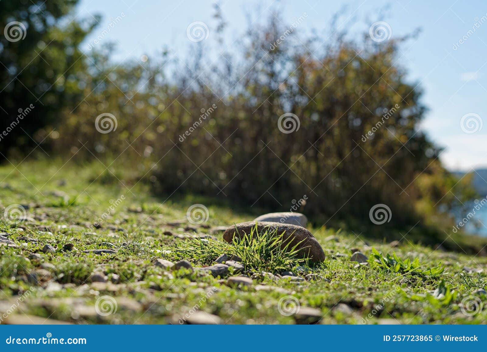 Polished Stone on the Rocky Riverside Stock Image - Image of water ...
