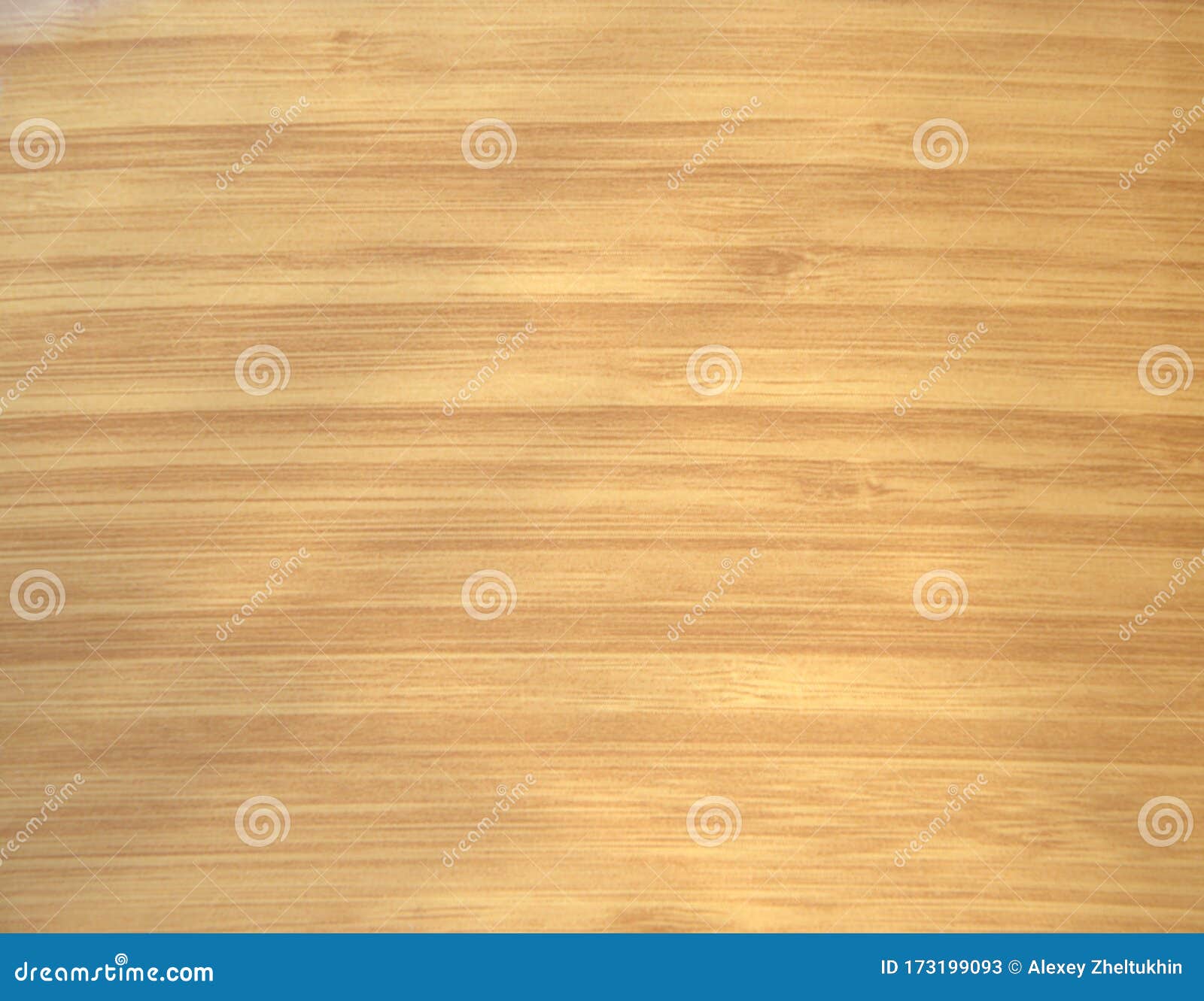 Polished Surface of Drill Beech, Natural Drawing of Wood on a Cut Close ...