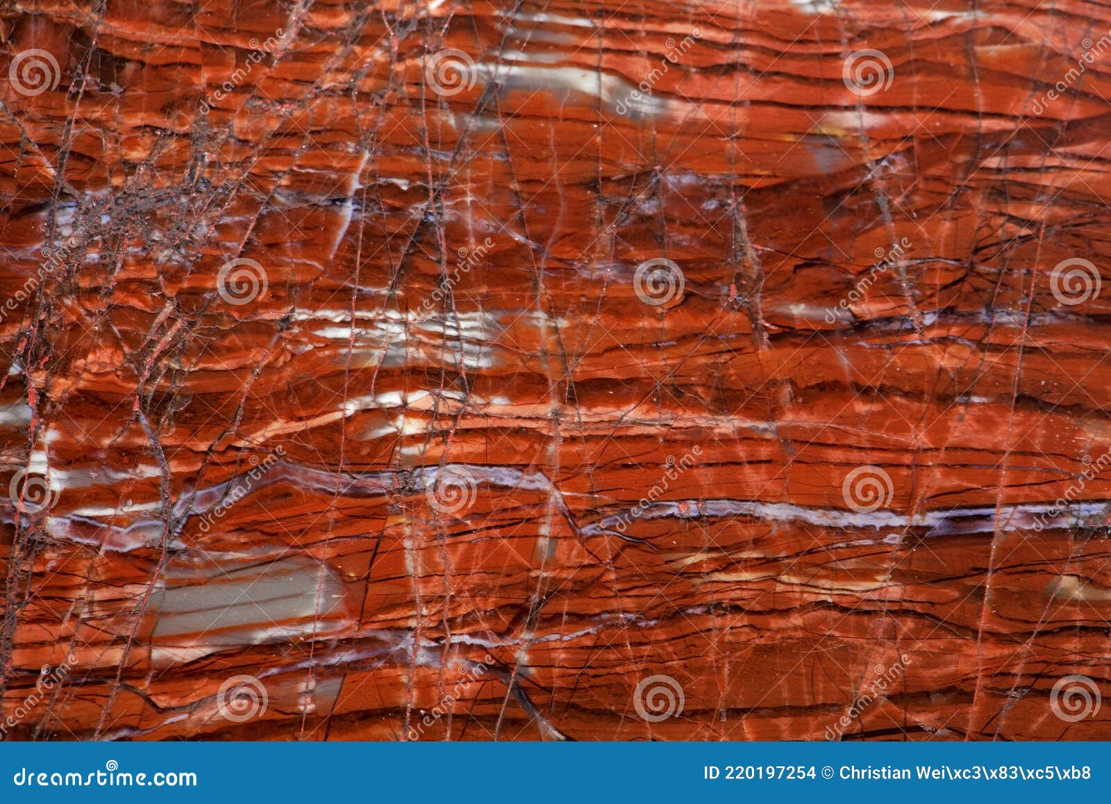 The Polished Surface of a Radiolarite Rock Stock Photo - Image of ...