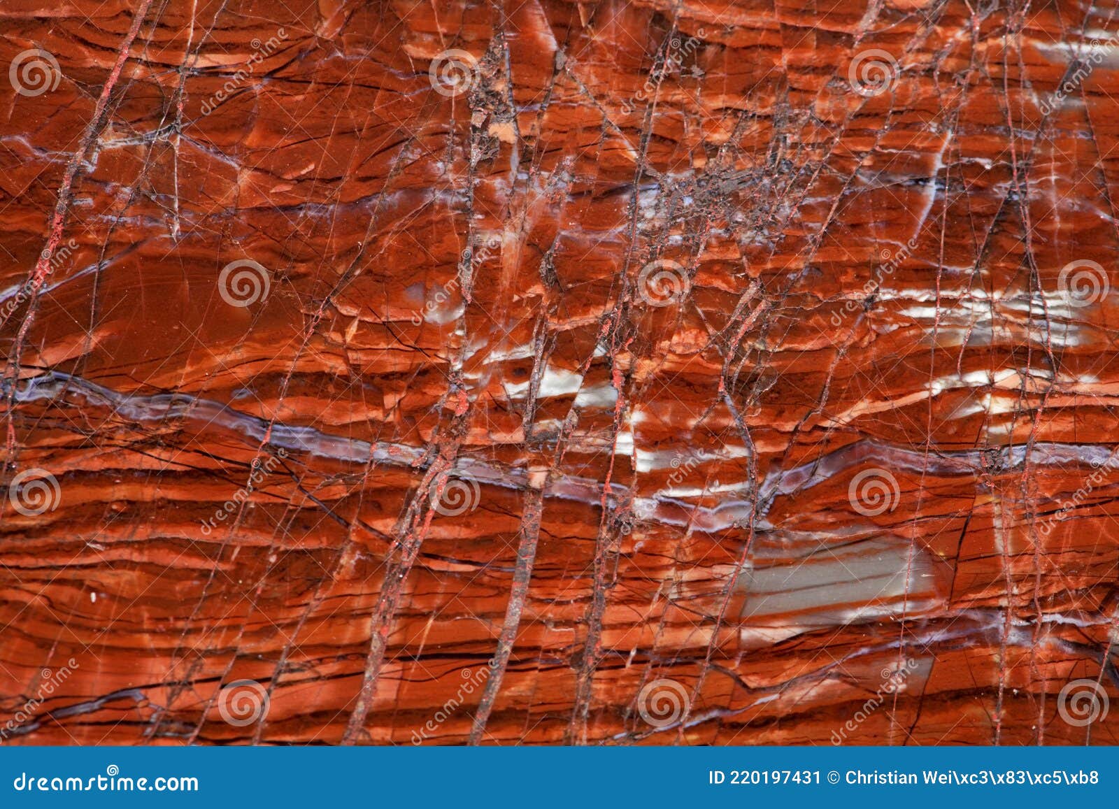 The Polished Surface of a Radiolarite Rock Stock Image - Image of ...