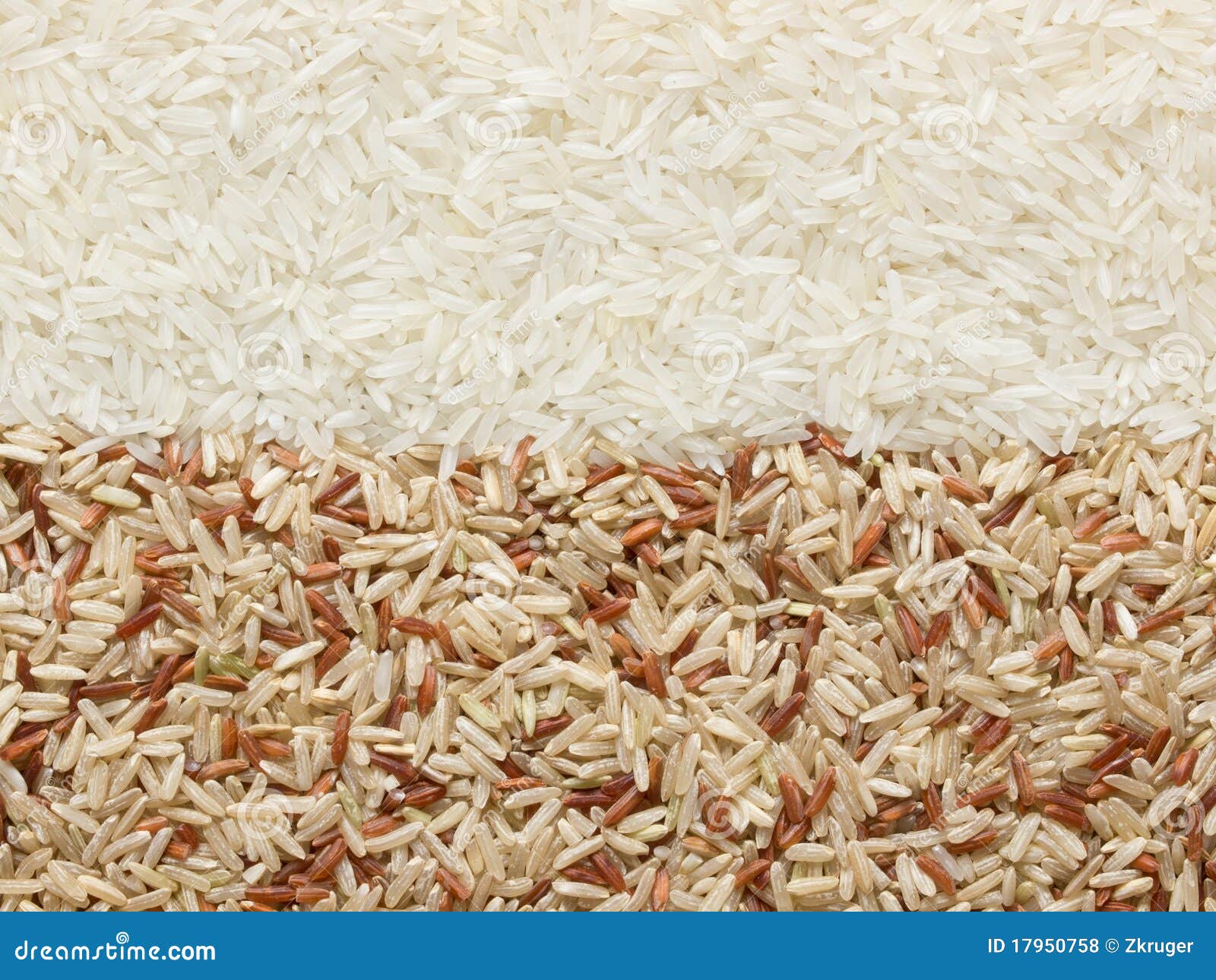 Polished and Unpolished Rice Stock Photo - Image of asian, starch: 17950758